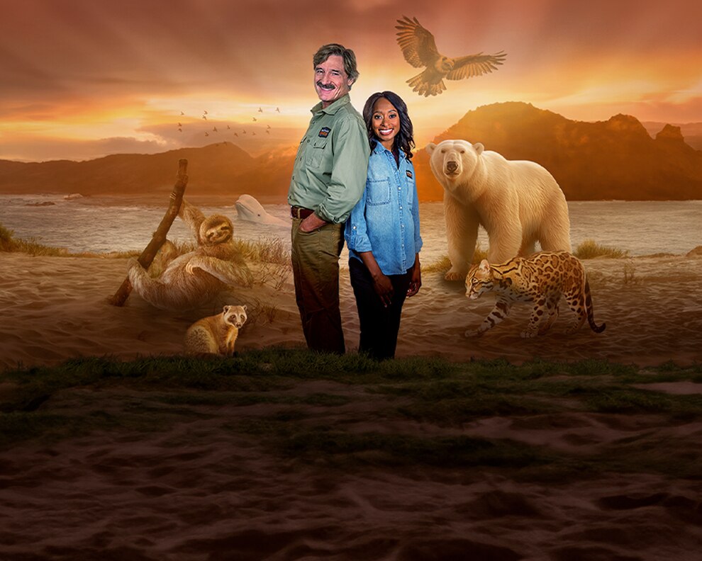 Mutual of Omaha’s Wild Kingdom Protecting the Wild - NBC.com