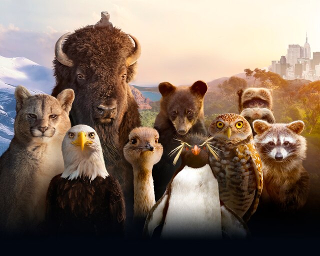 The Americas - NBC.com