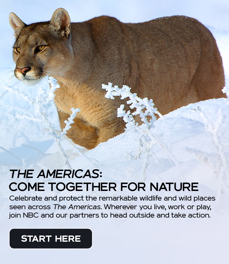 The Americas - NBC.com