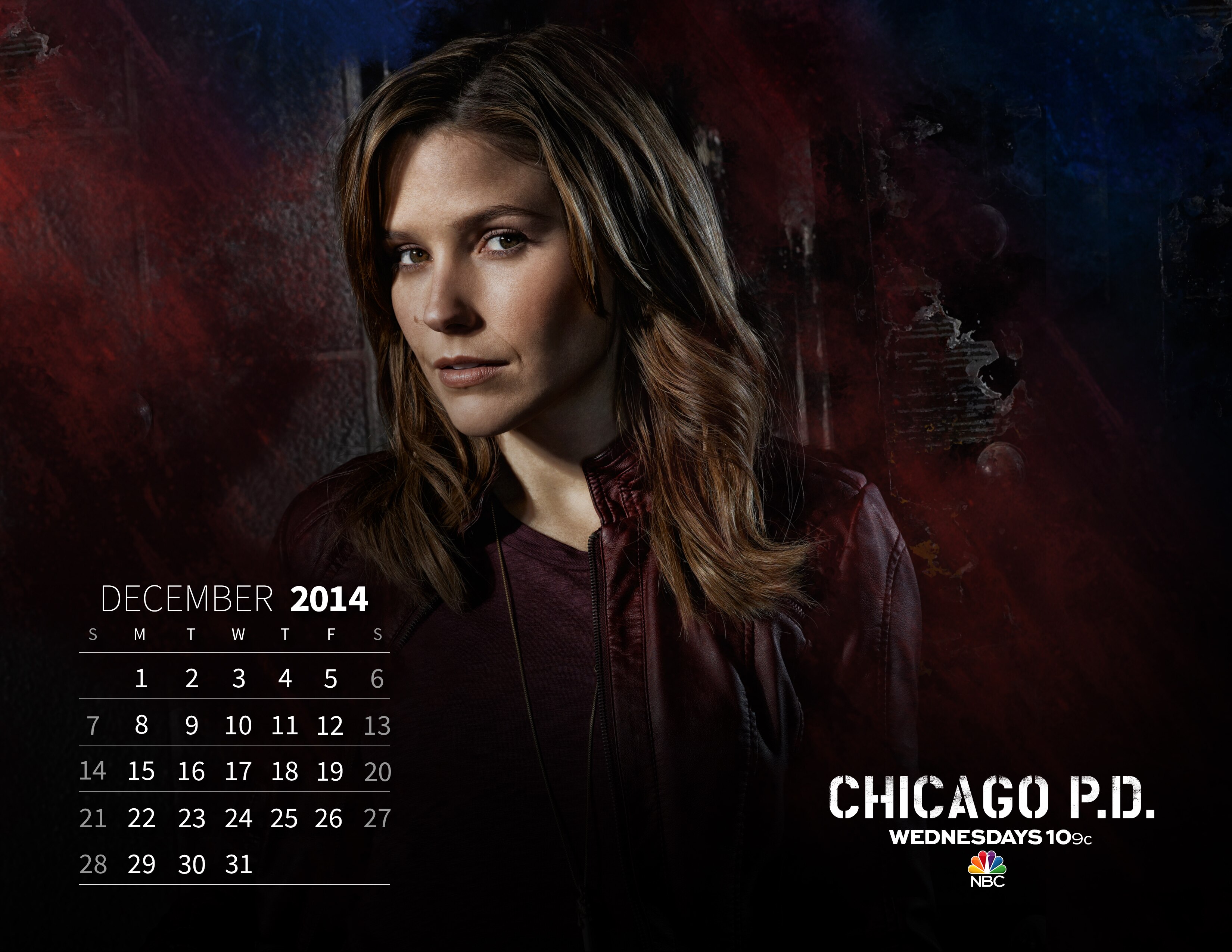 null: Chicago P.D. 2014 Calendars Photo: 2074891 - NBC.com