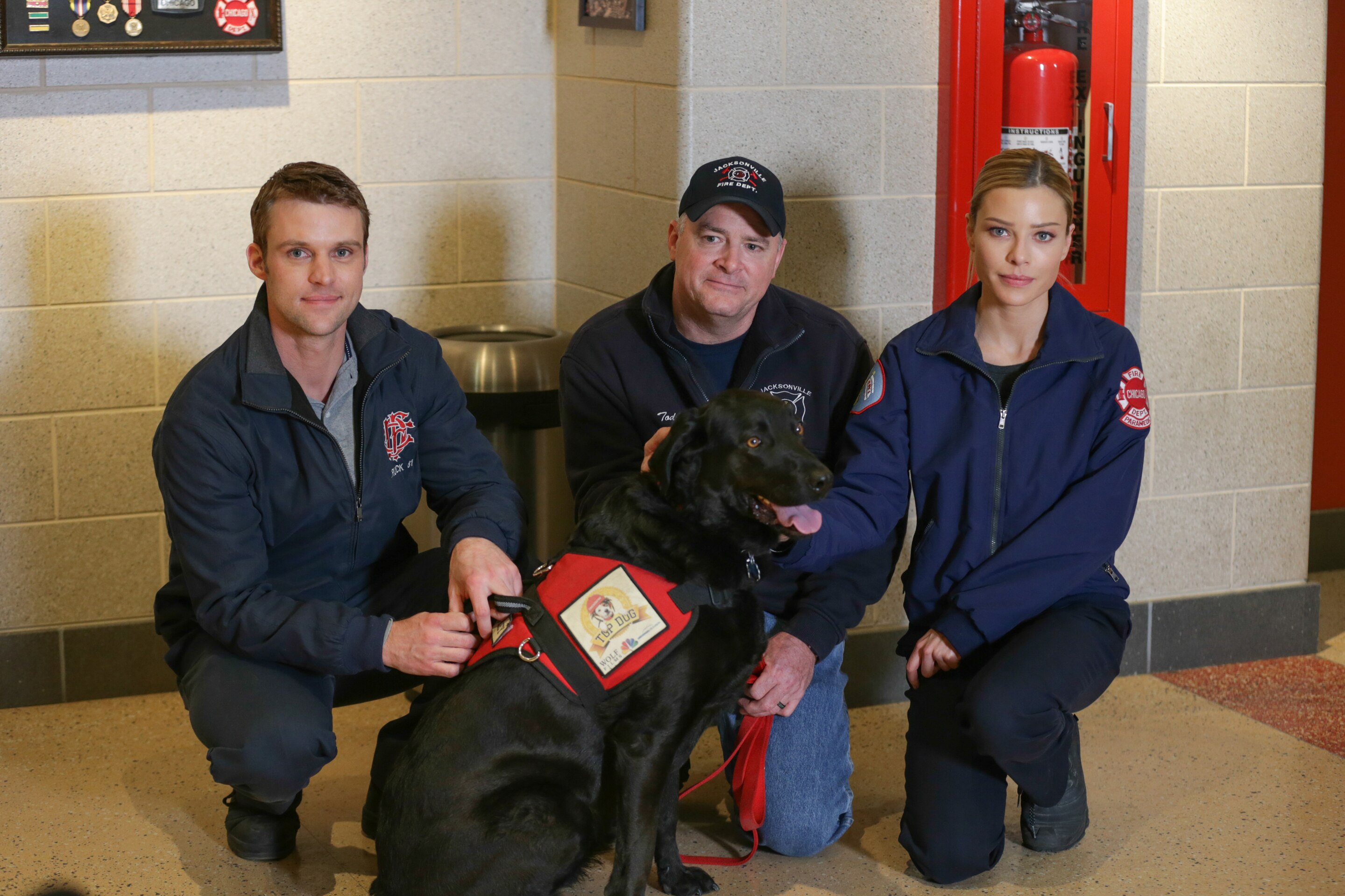 Chicago Fire: Meet Smokey, Chicago Fire's Top Dog Photo: 1710391 - NBC.com