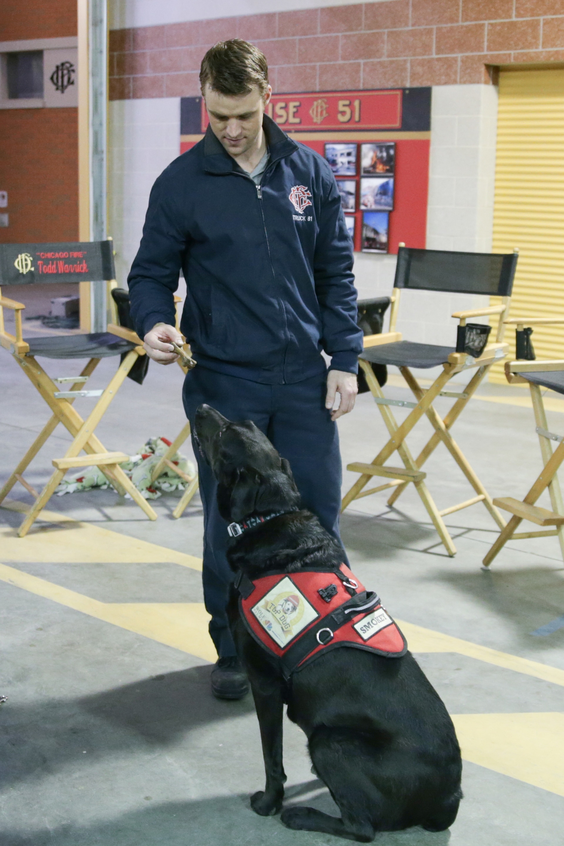Chicago Fire: Meet Smokey, Chicago Fire's Top Dog Photo: 1710406 - NBC.com