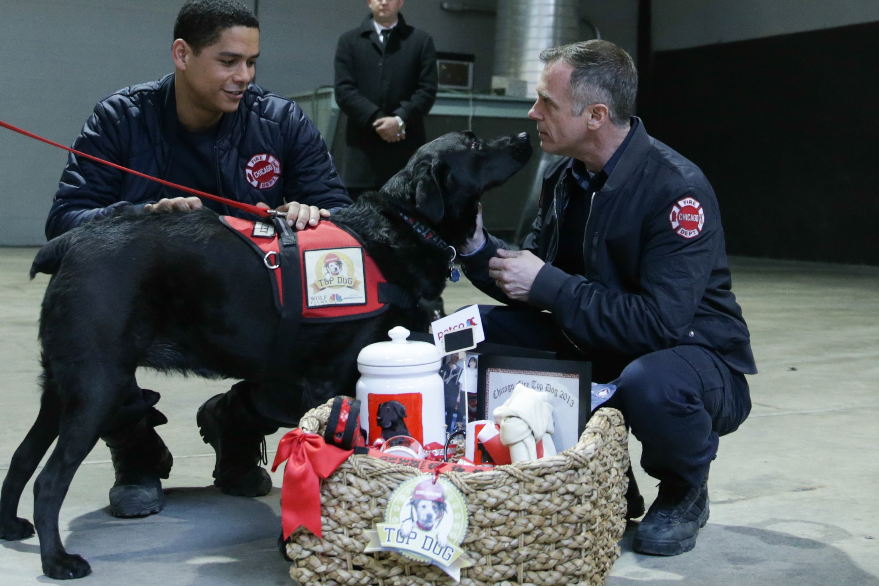 null: Meet Smokey, Chicago Fire's Top Dog Photo: 1710411 - NBC.com