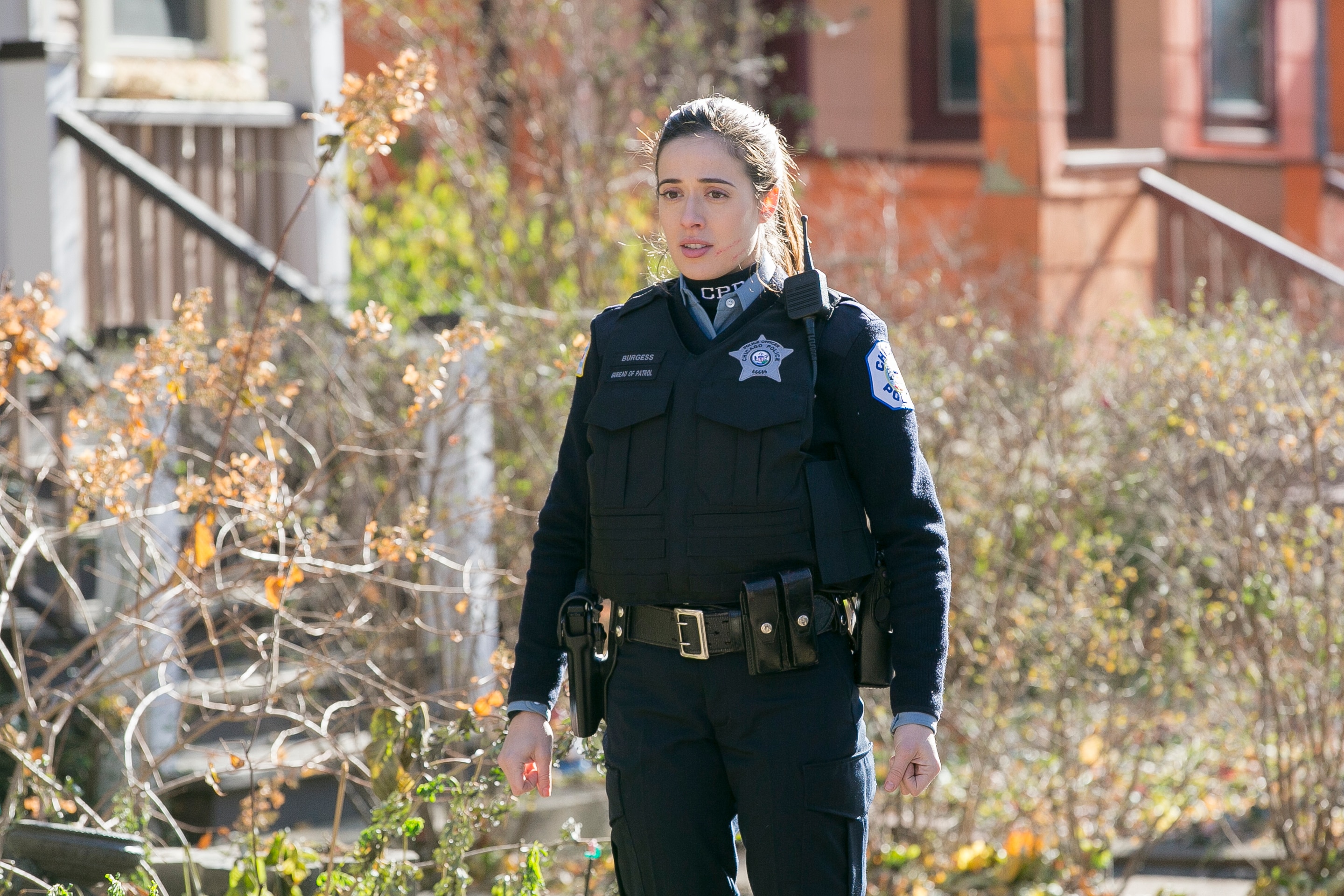 Chicago P.D.: Disco Bob Photo: 2195061 - NBC.com