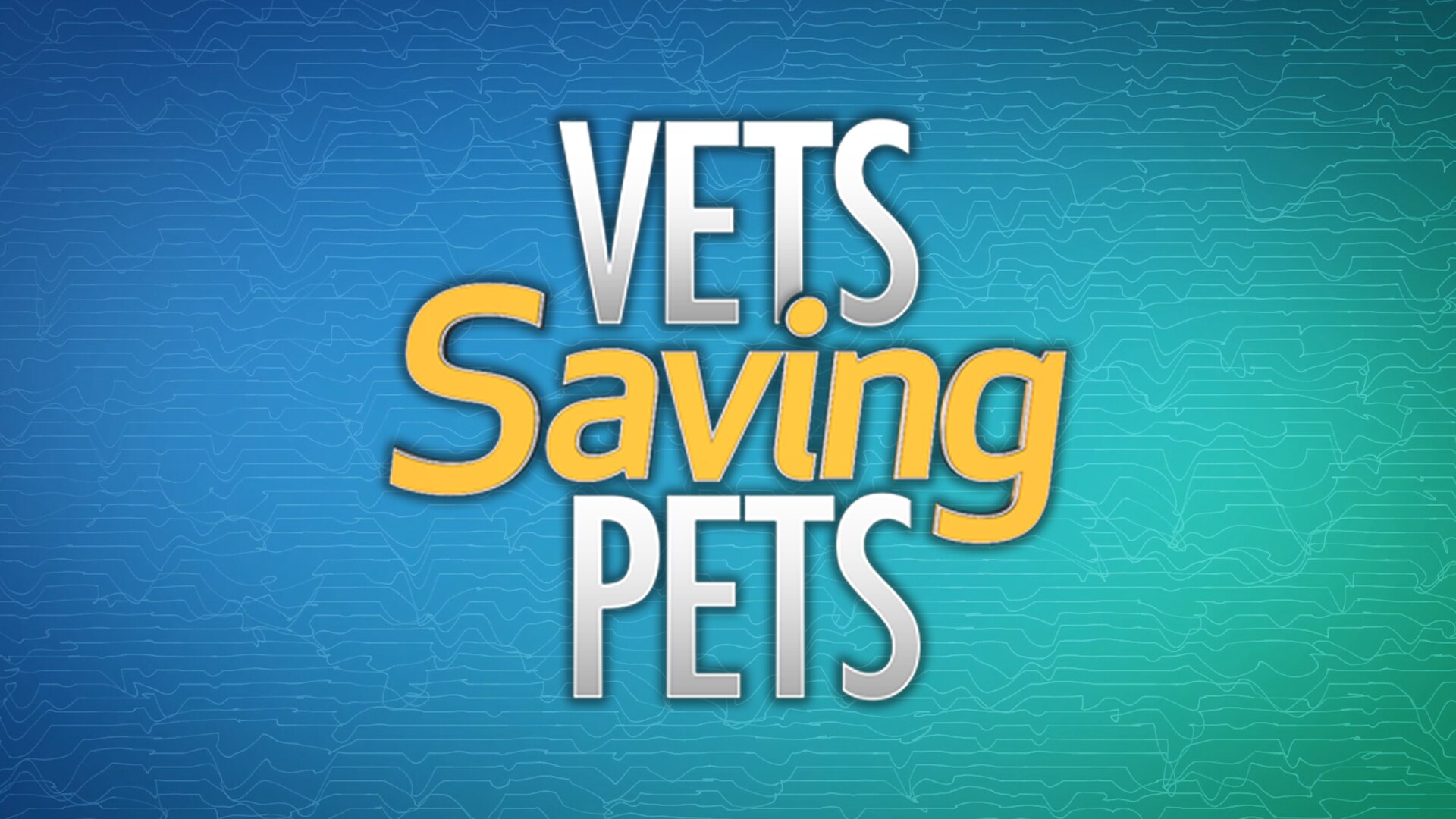 Vets Saving Pets - NBC.com