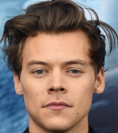 Harry Styles on null