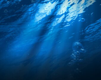 Shark Tank - NBC.com