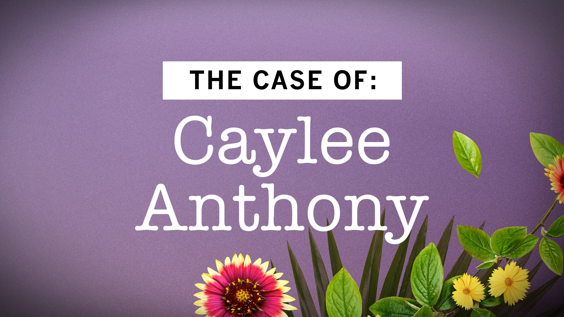 Evidencia De Caylee Anthony Watch The Case Of: Caylee Anthony