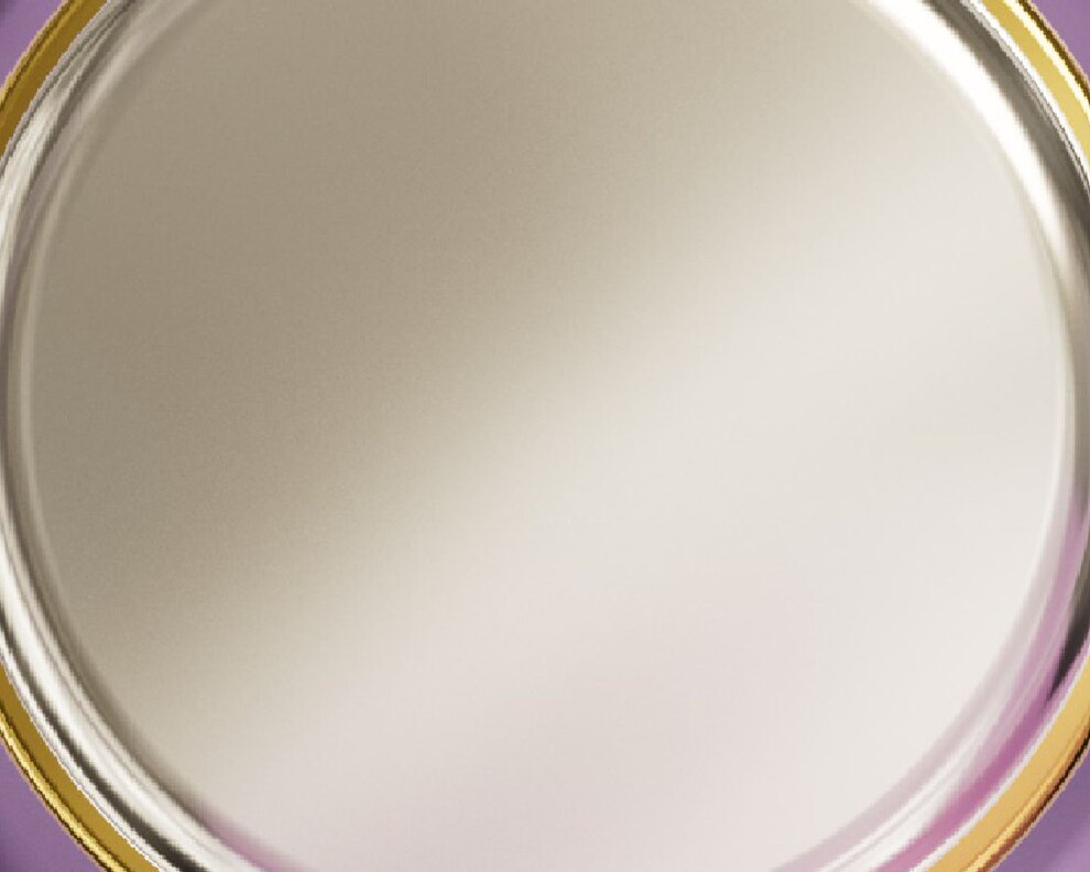 Acércate a Rocío - NBC.com