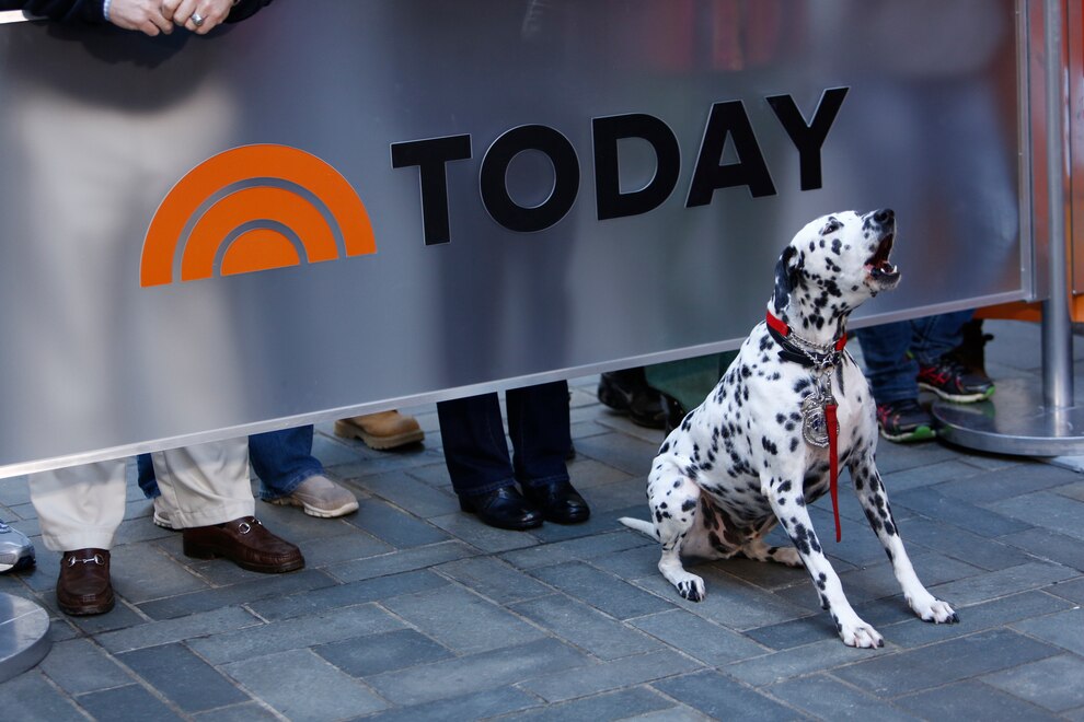 Chicago Fire: Chicago Fire Top Dog Finalists Photo: 279106 - NBC.com