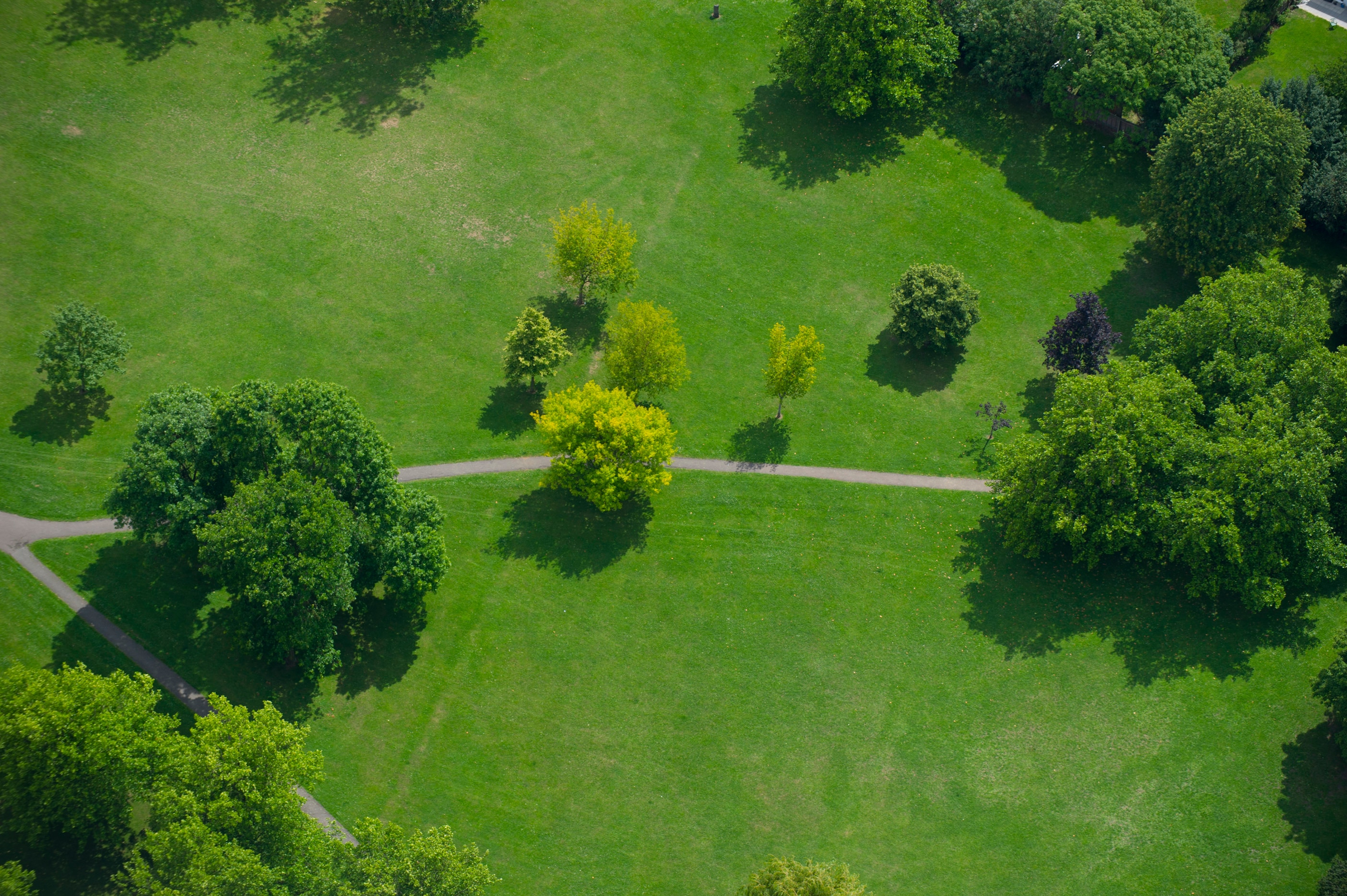 Parks and Recreation: Eagleton's Newest Park Tour Photo: 162036 - NBC.com