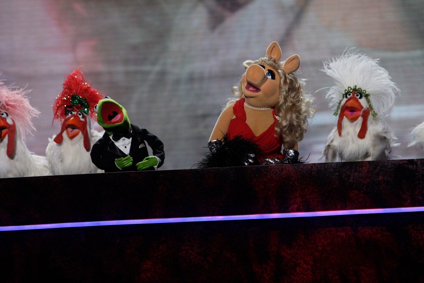 America's Got Talent: The Muppets Photo: 355526 - NBC.com