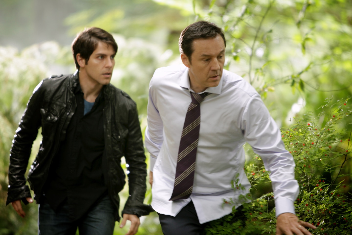 Grimm: Bears Will Be Bears Photo: 259351 - NBC.com