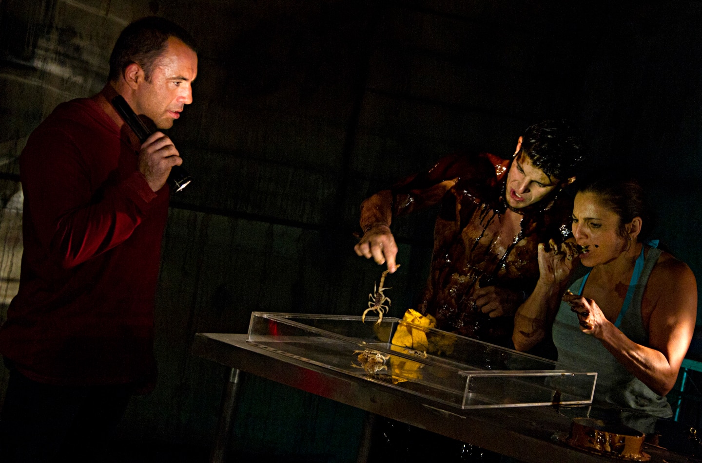 Fear Factor: Scorpion Tales Photo: 502041 - NBC.com