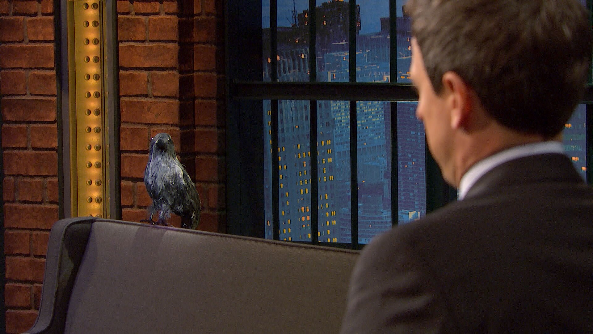 Watch Late Night with Seth Meyers Highlight: Seth Thinks Birds Are ...
