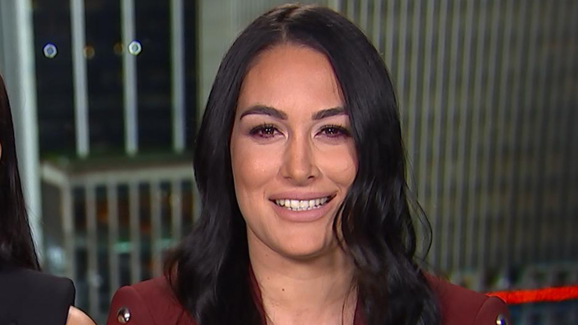 Watch Access Hollywood Highlight: Brie Bella Wants Another Baby Soon ...