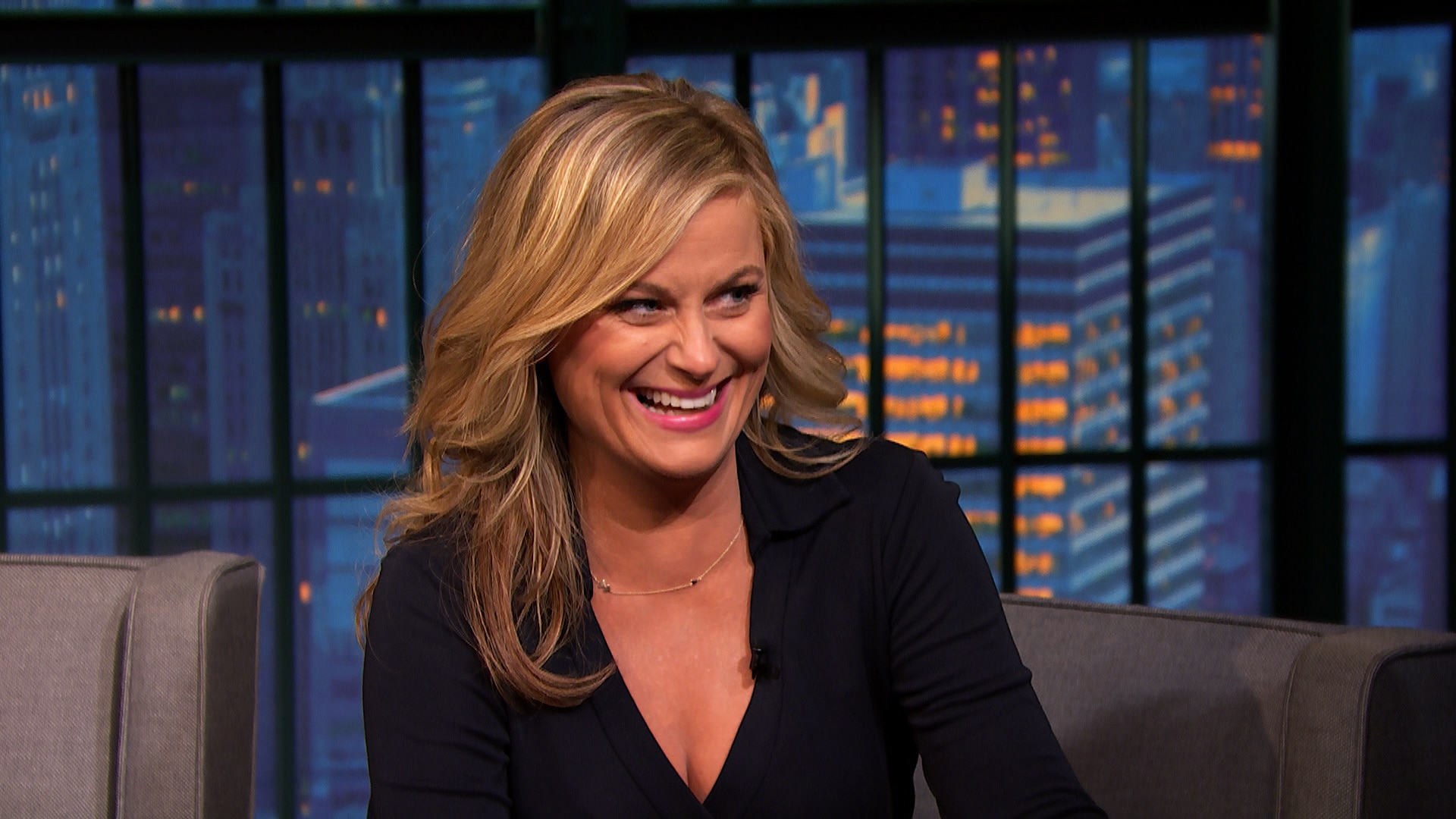 Watch Late Night with Seth Meyers Interview: Amy Poehler Missed Weekend ...