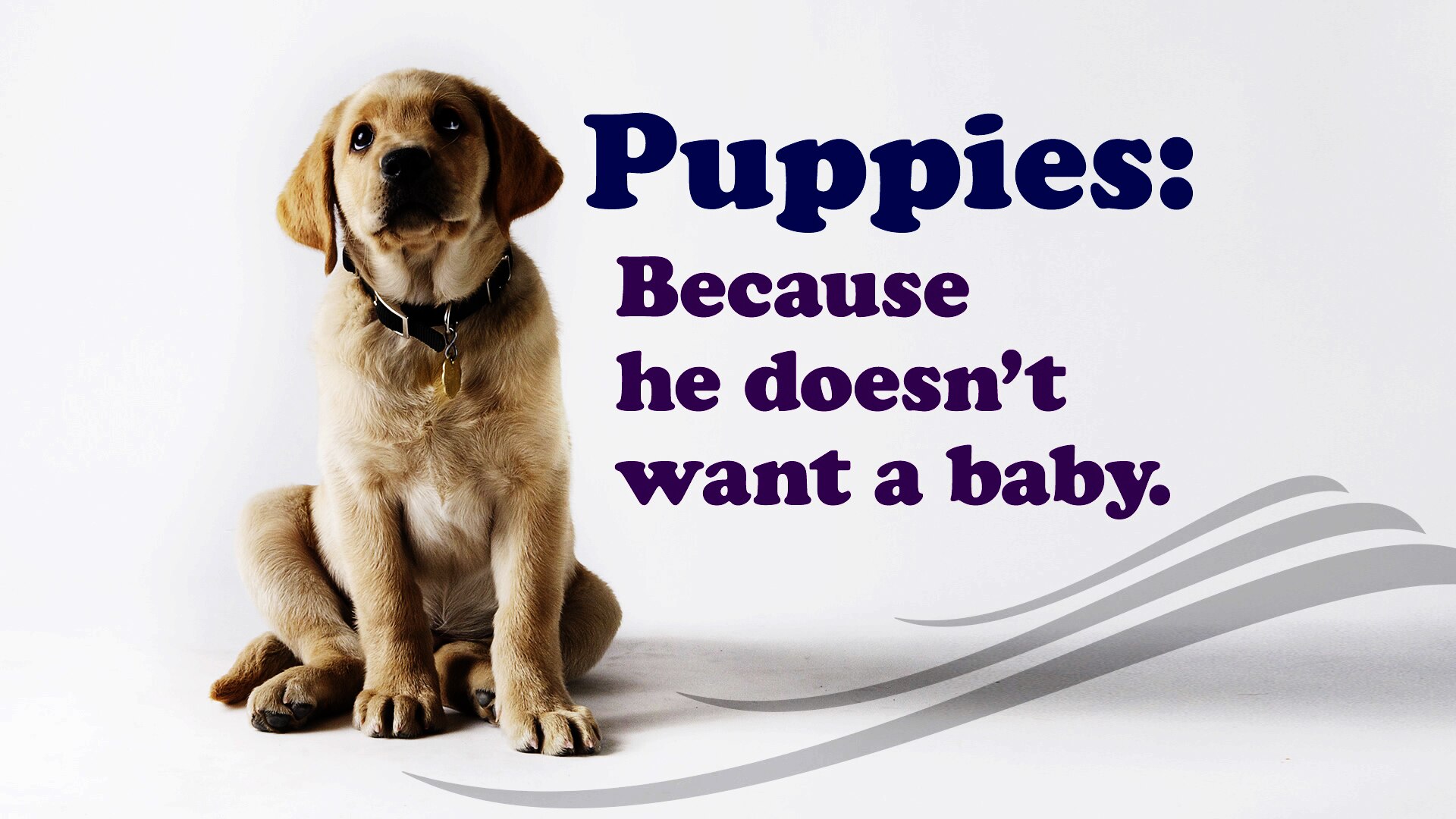 Watch Late Night with Seth Meyers Highlight: New Slogans: Tapas ...