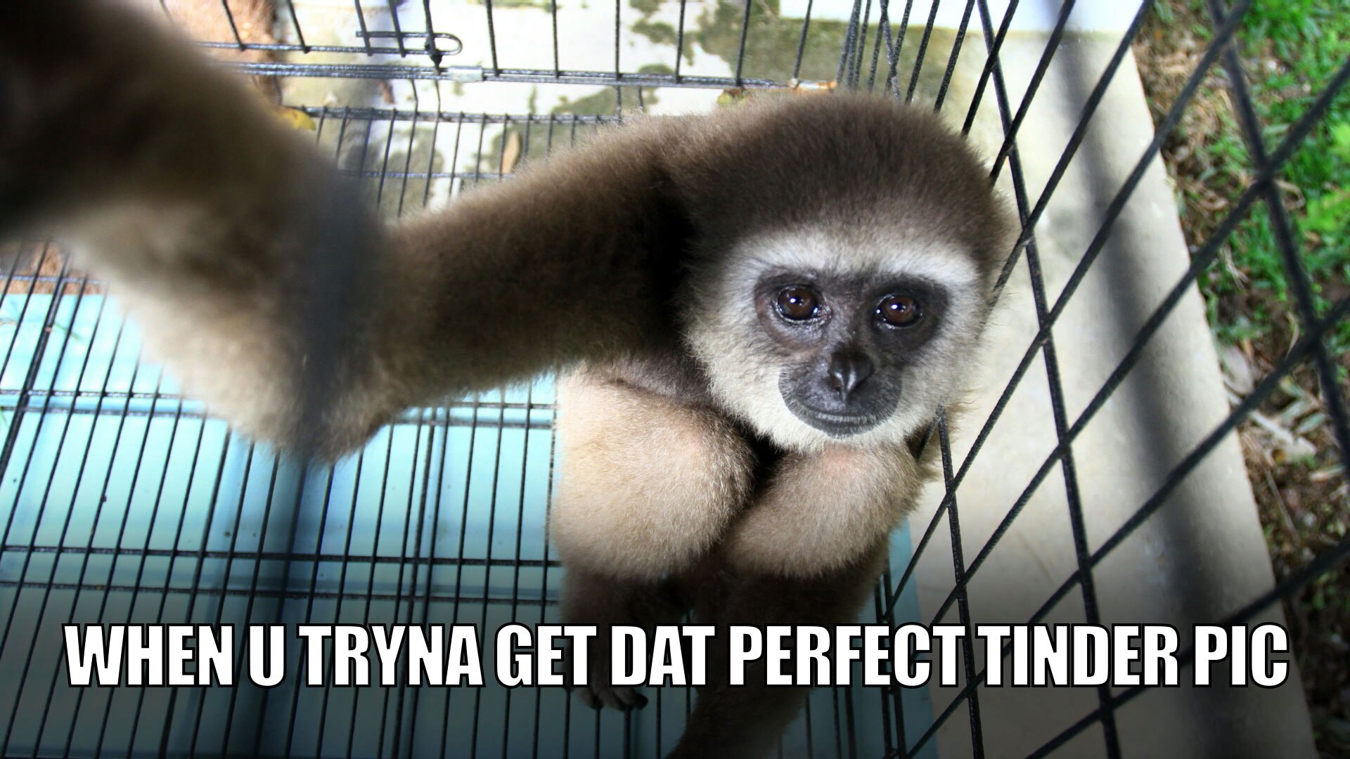 Watch The Tonight Show Starring Jimmy Fallon Highlight: This Week in ...