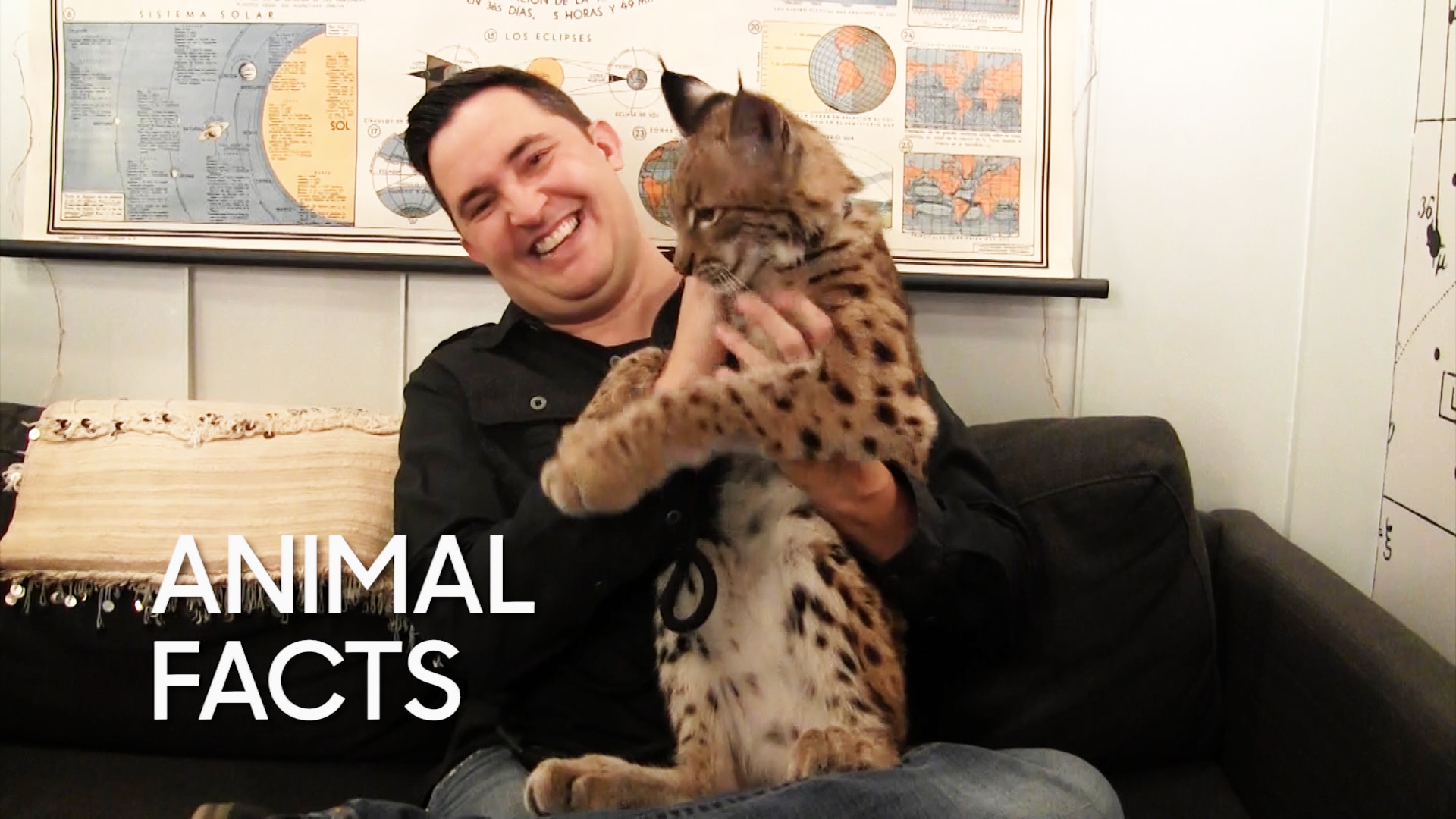 Watch The Tonight Show Starring Jimmy Fallon Web Exclusive: Jeff the ...