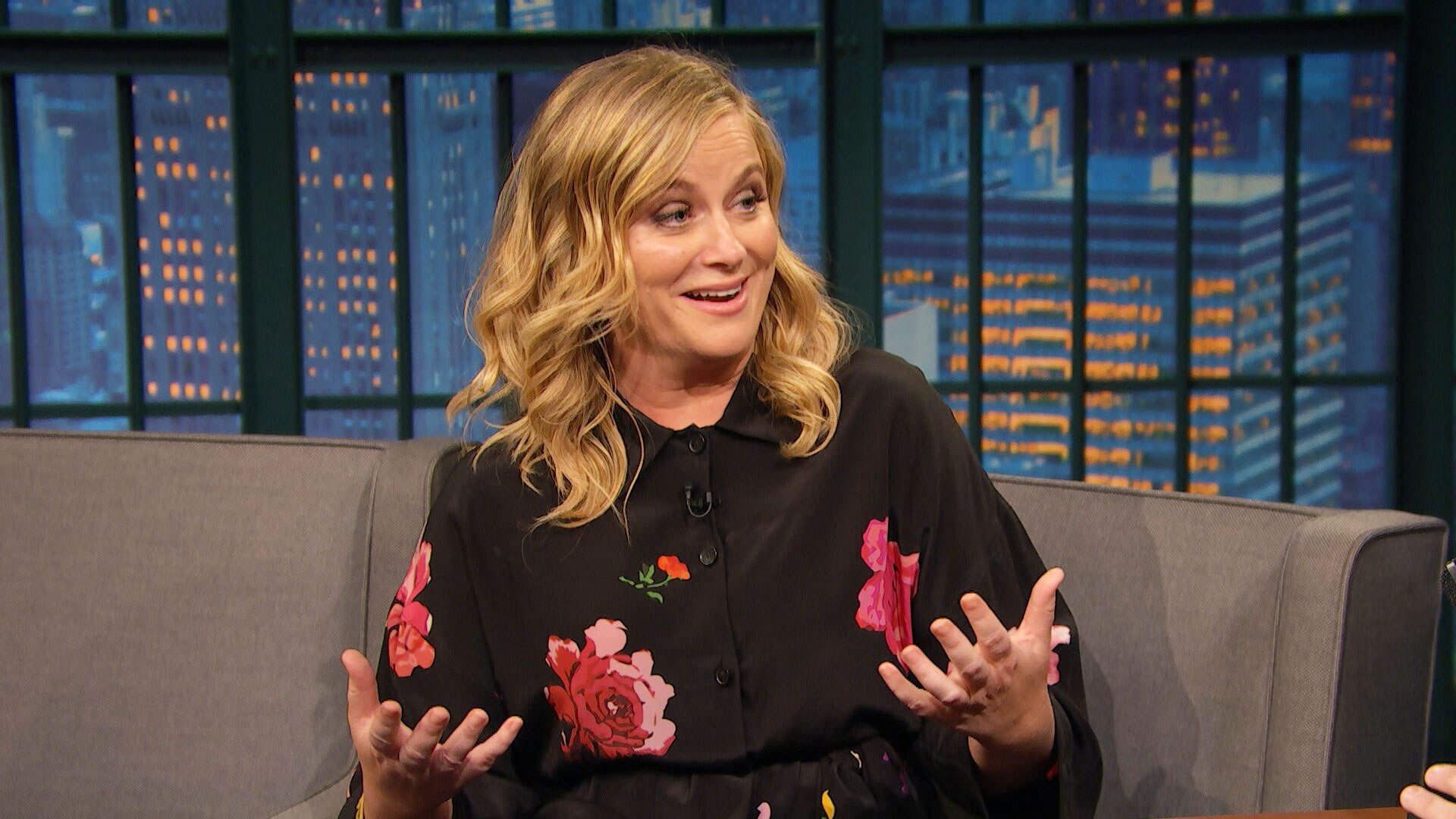 Watch Late Night with Seth Meyers Interview: Amy Poehler Begged Will ...
