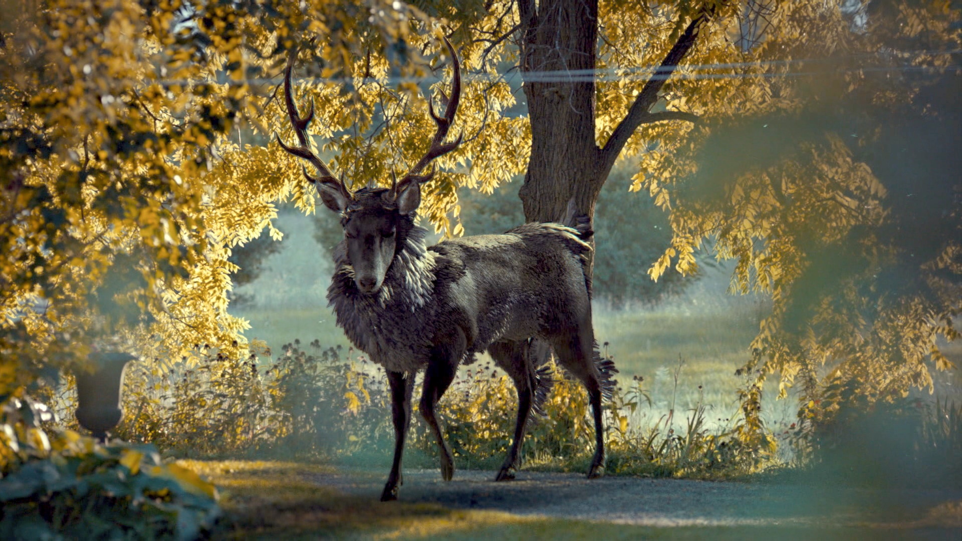 Watch Hannibal Web Exclusive: Hannibal Music Video: The Ravenstag - NBC.com