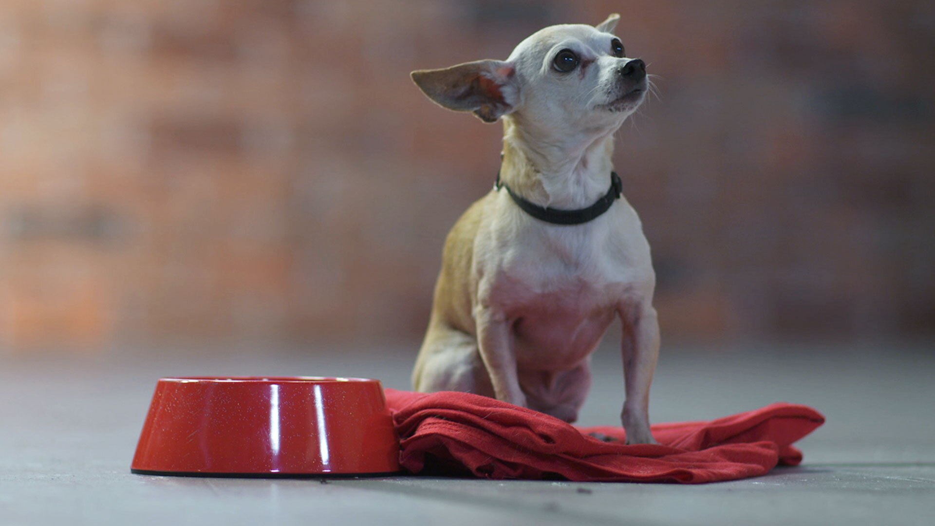 Watch I Can Do That Web Exclusive: ICDT Deleted Scene: Attack of the ...