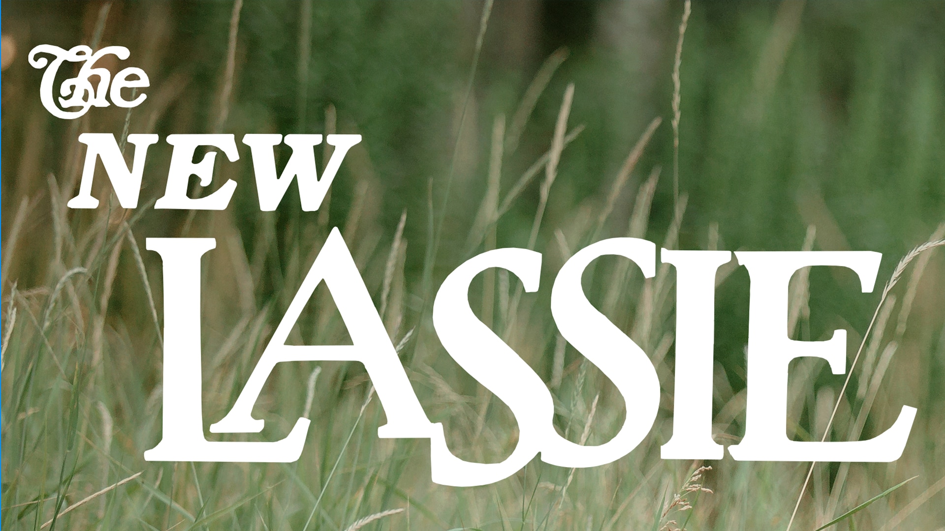 The New Lassie - NBC.com