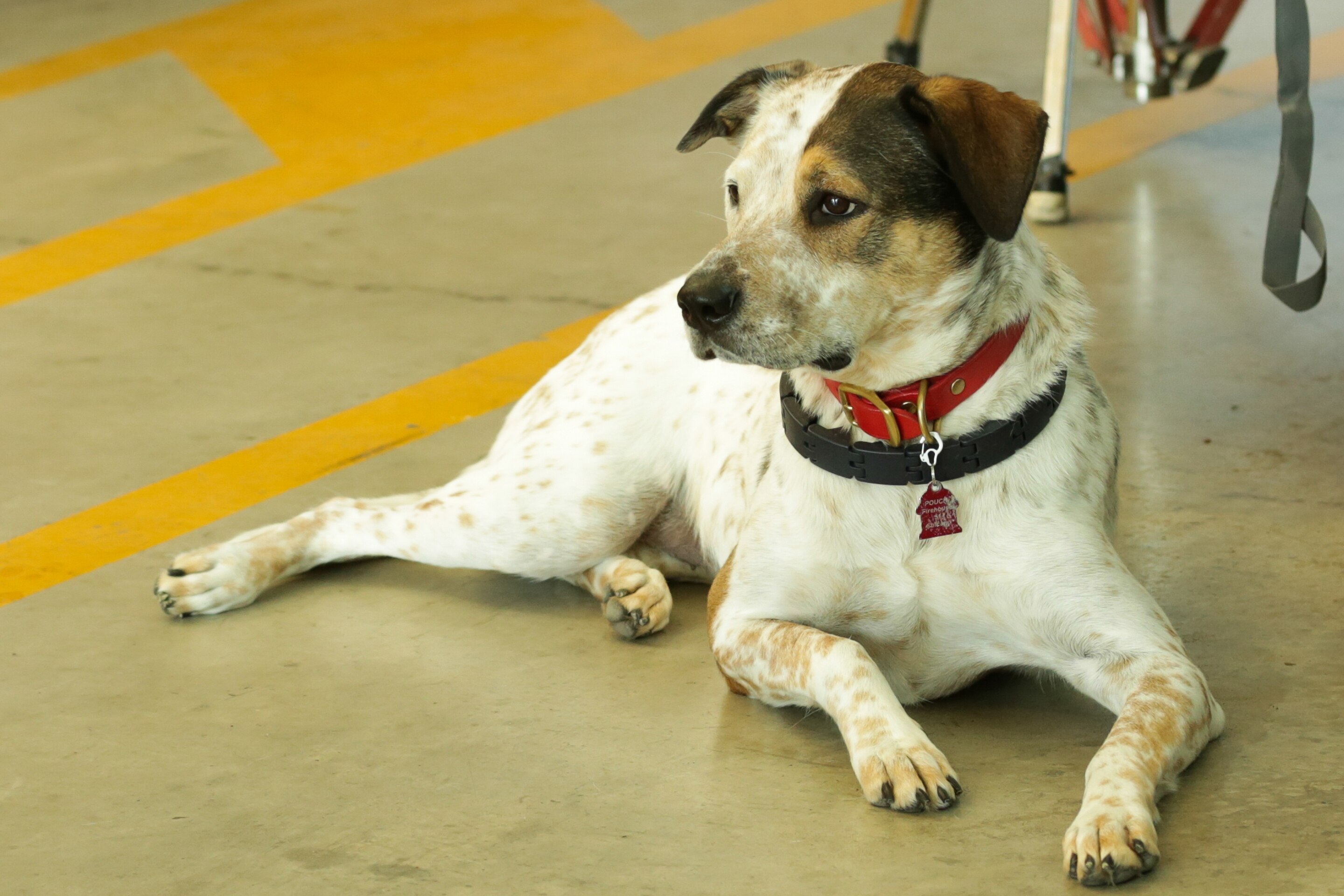 Chicago Fire: Madmen and Fools Photo: 1985251 - NBC.com