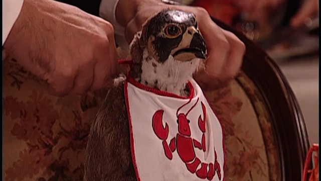 Watch Saturday Night Live Highlight: The Falconer: The Restaurant - NBC.com