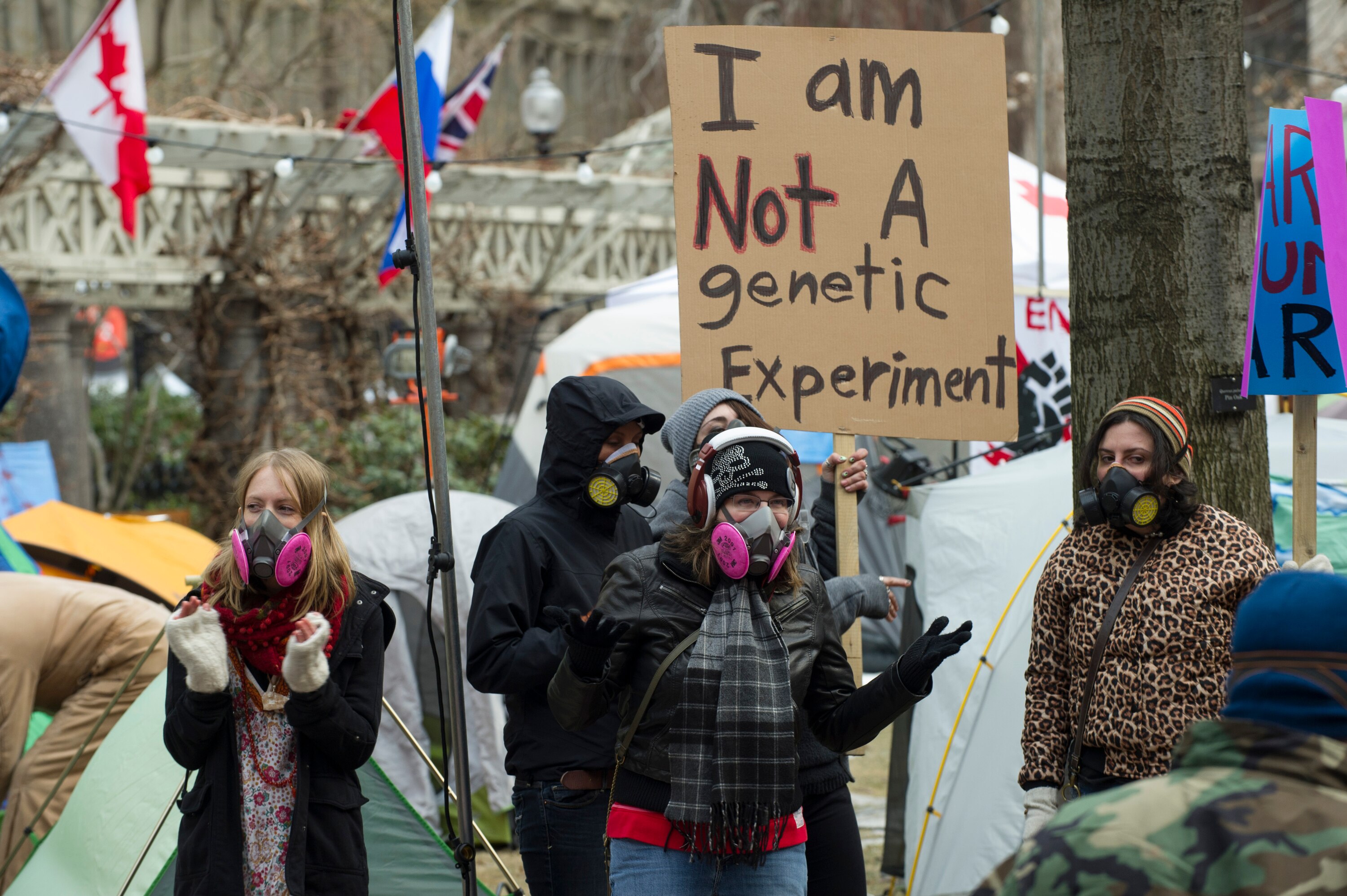American Odyssey: Photos from "Gone Elvis" Photo: 2294331 - NBC.com