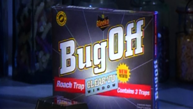 Watch Saturday Night Live Highlight: Bug Off - NBC.com