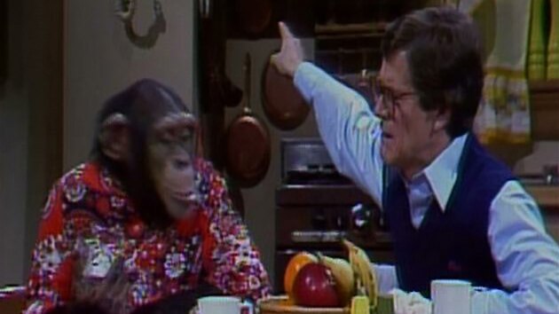 Watch Saturday Night Live Highlight: I Married A Monkey - NBC.com