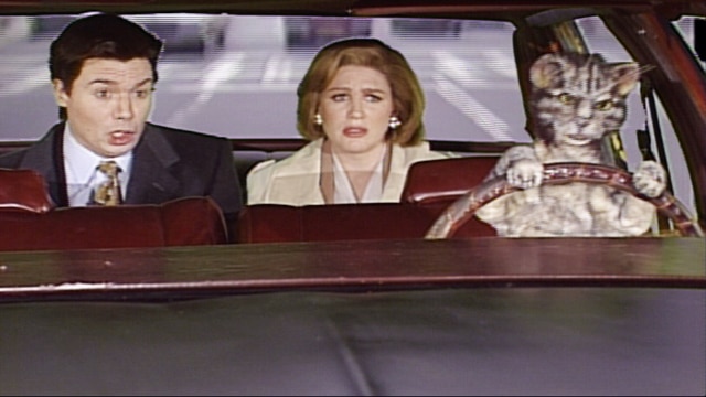 Watch Saturday Night Live Highlight: Dateline: Apologies & Toonces Cold ...