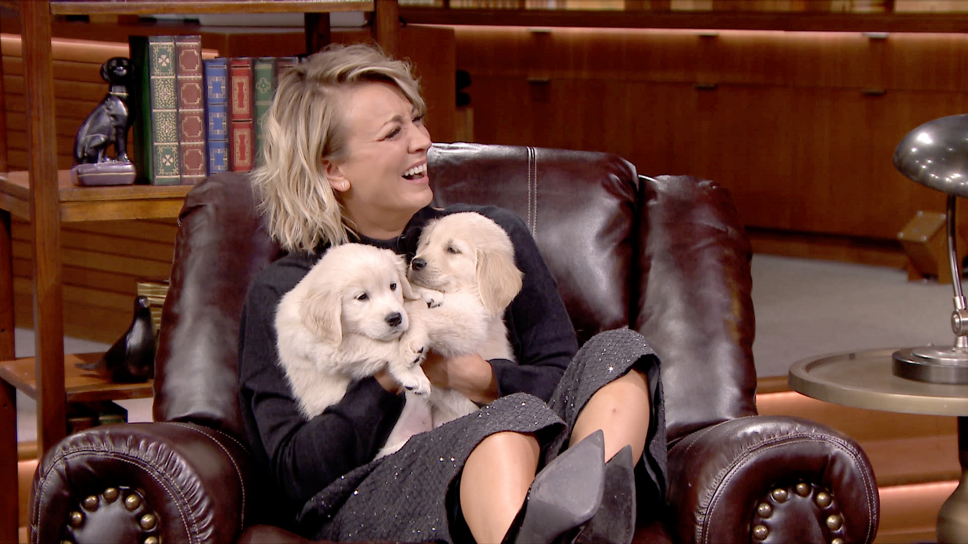 Watch The Tonight Show Starring Jimmy Fallon Highlight: Pup Quiz with Kaley Cuoco - NBC.com