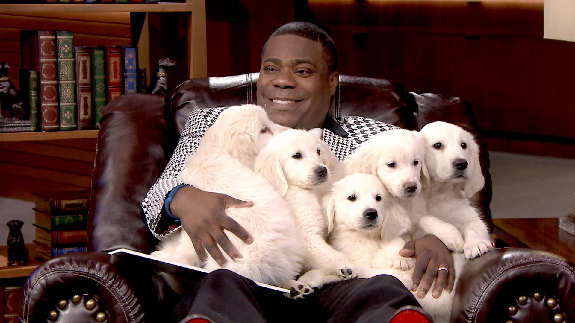 Watch The Tonight Show Starring Jimmy Fallon Highlight: Pup Quiz with ...