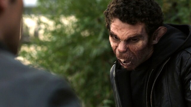 Watch Grimm Web Exclusive: Creature Profile: Reinigen - NBC.com