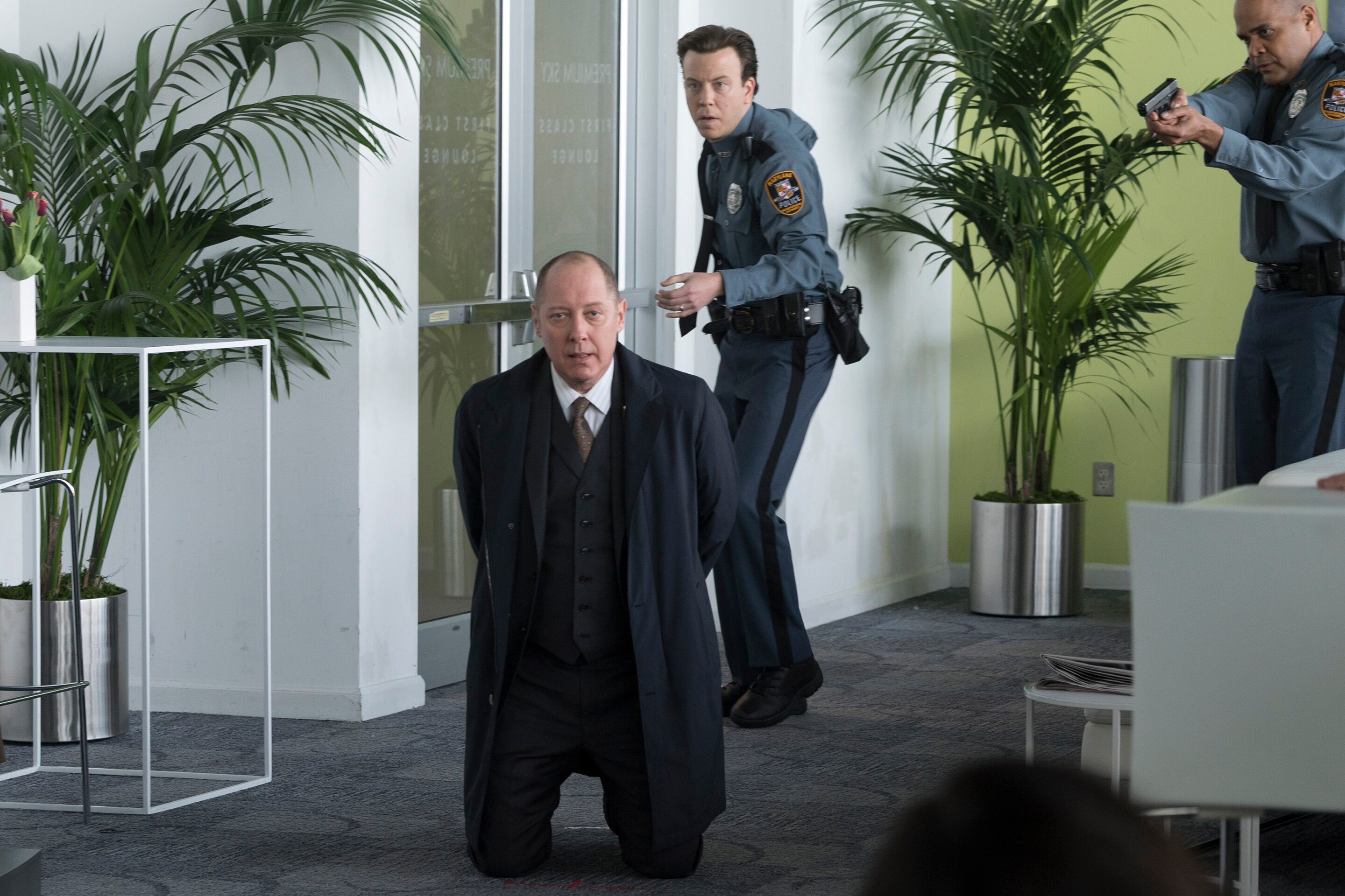 The Blacklist: Susan Hargrave Photo: 2845186 - NBC.com