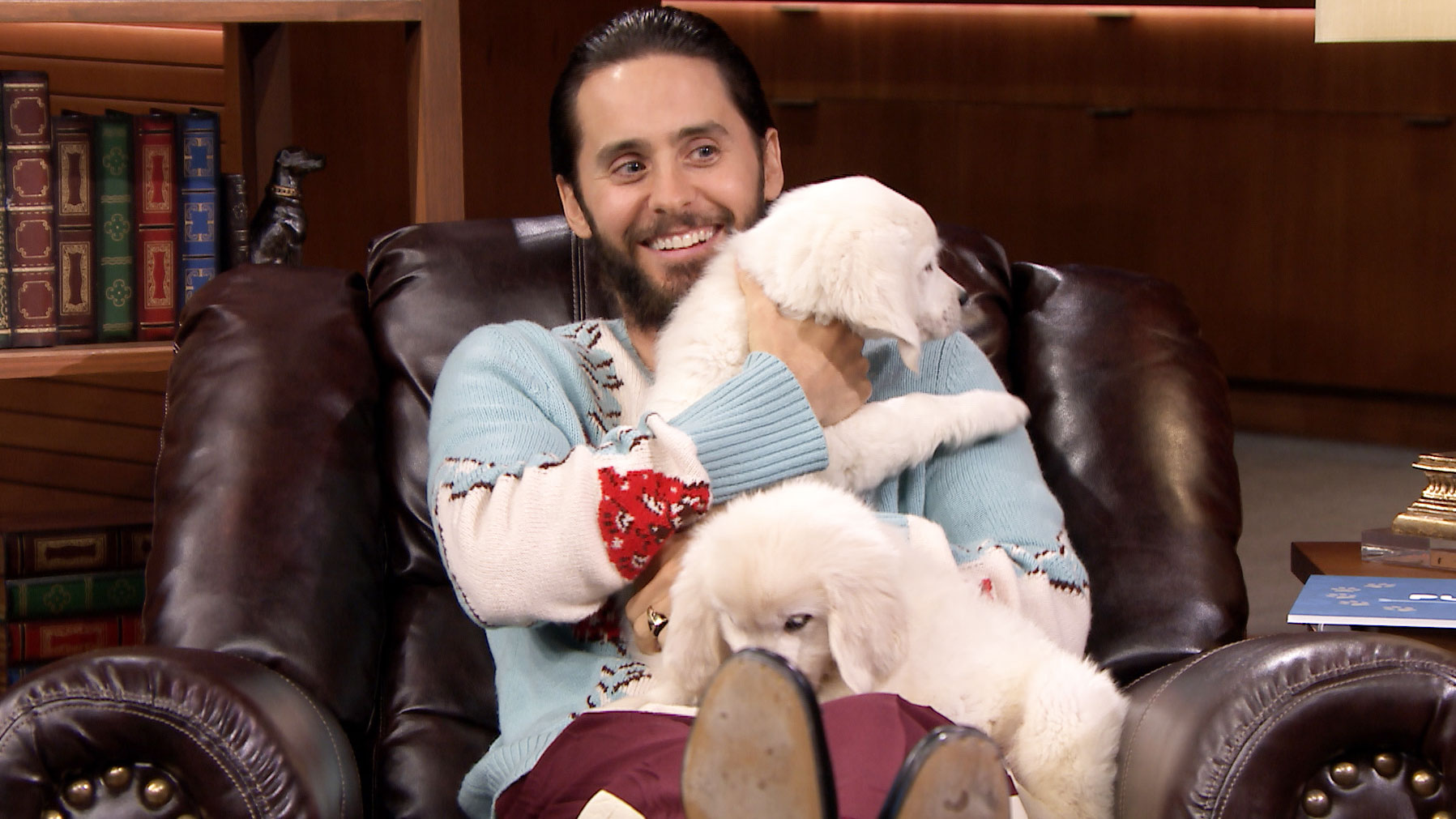 Watch The Tonight Show Starring Jimmy Fallon Highlight: Pup Quiz with ...