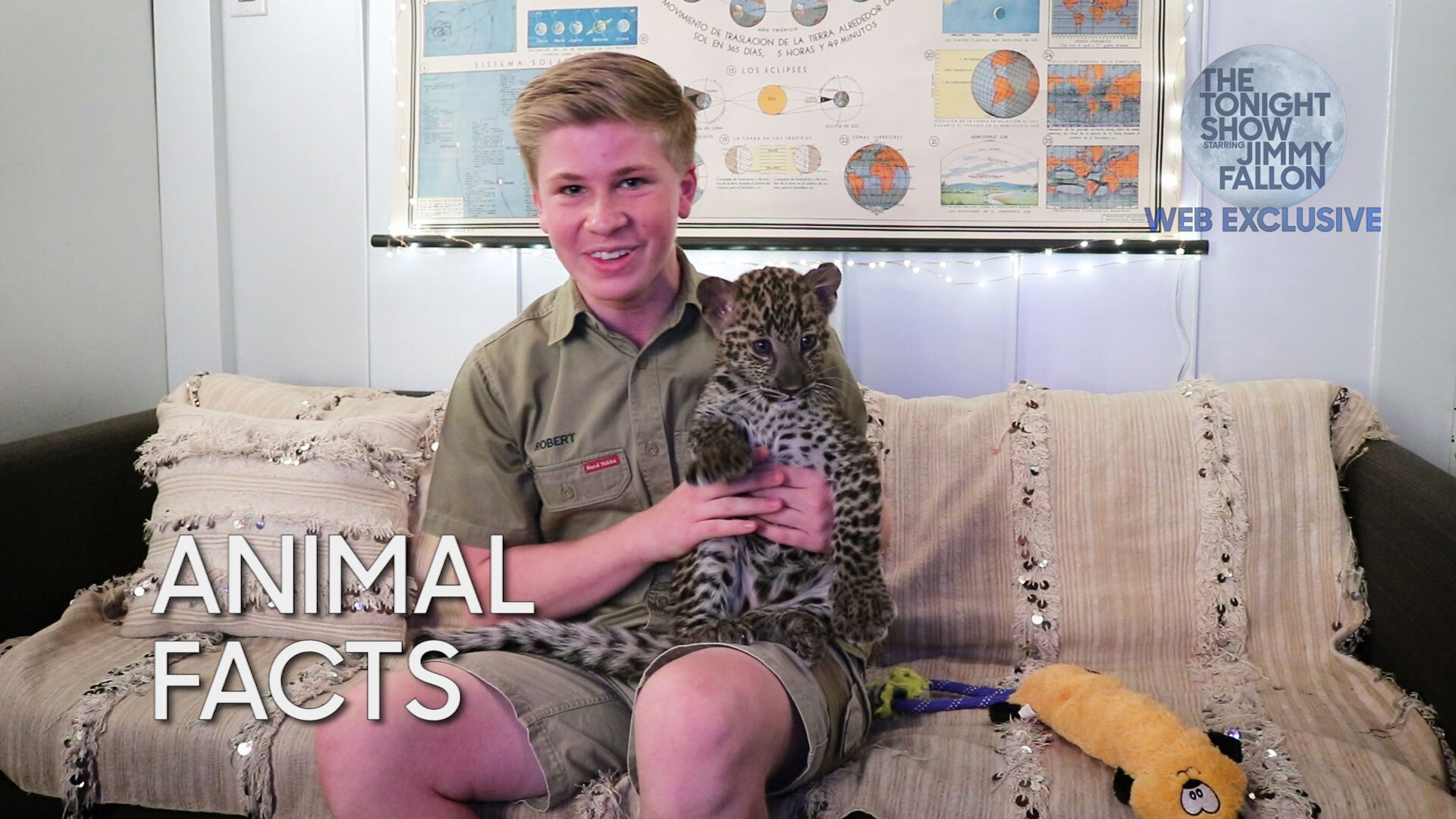 Watch The Tonight Show Starring Jimmy Fallon Web Exclusive: Animal ...