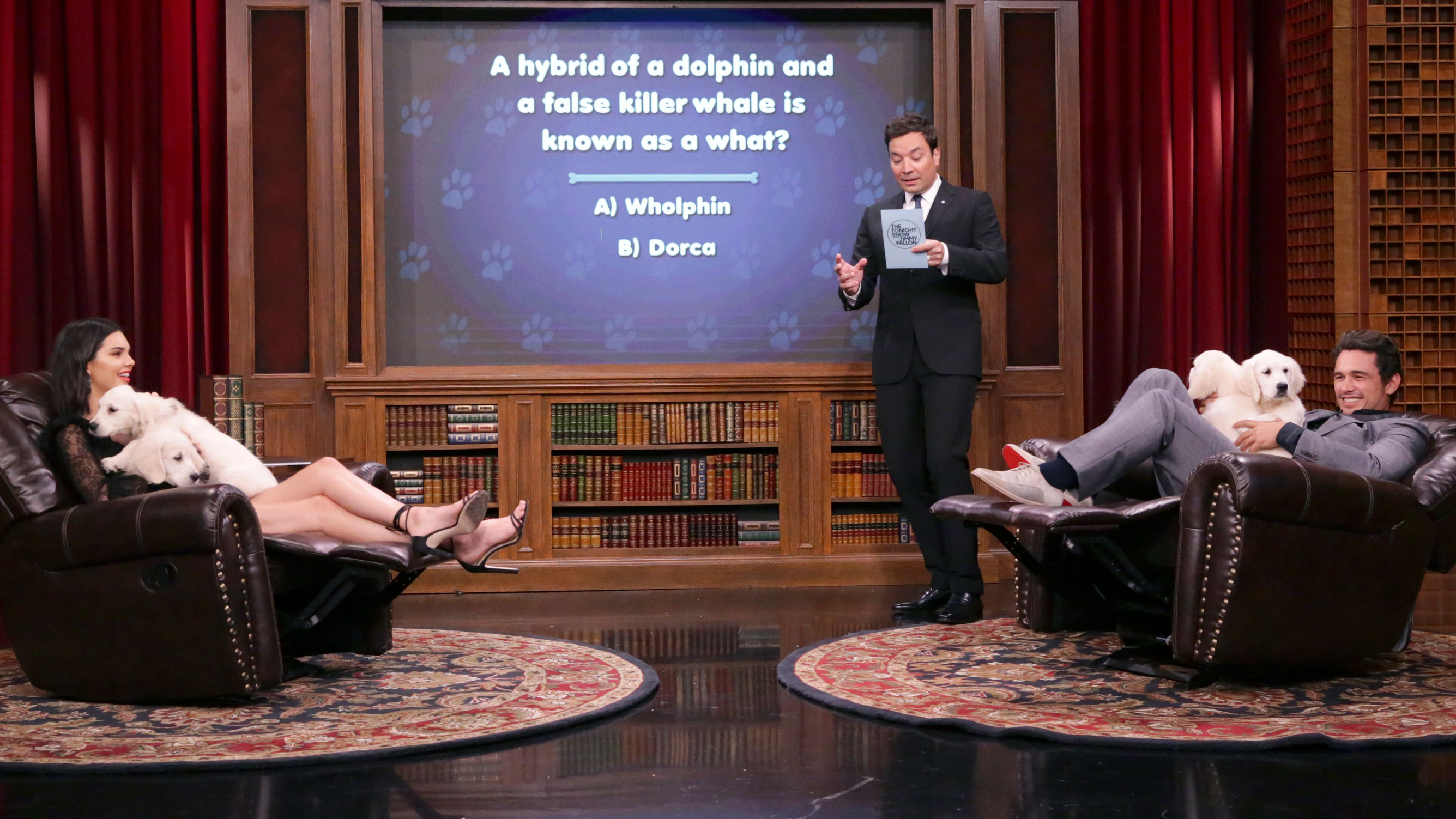 Watch The Tonight Show Starring Jimmy Fallon Highlight: Pup Quiz with ...