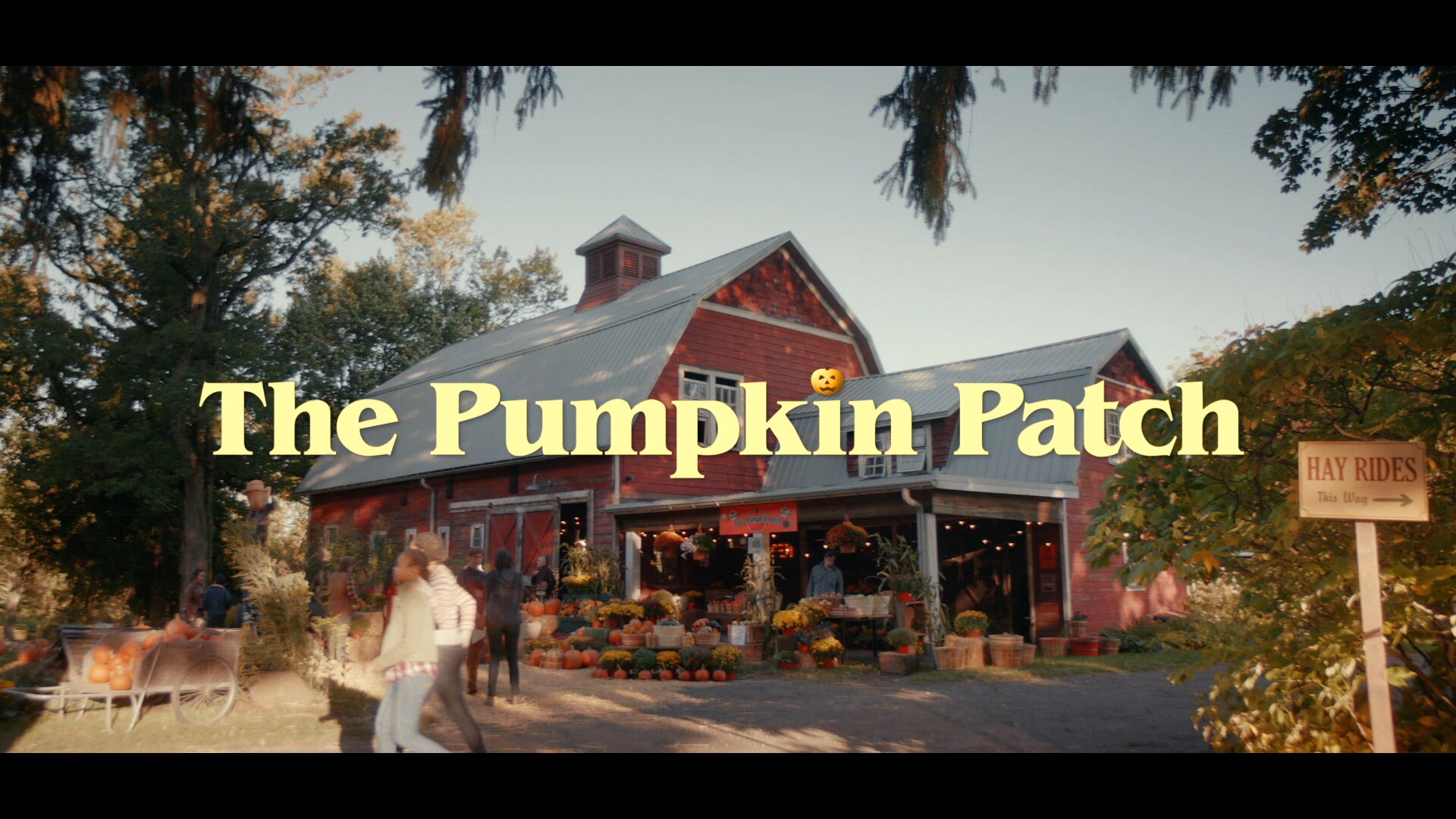 Watch Saturday Night Live Highlight: Pumpkin Patch - NBC.com