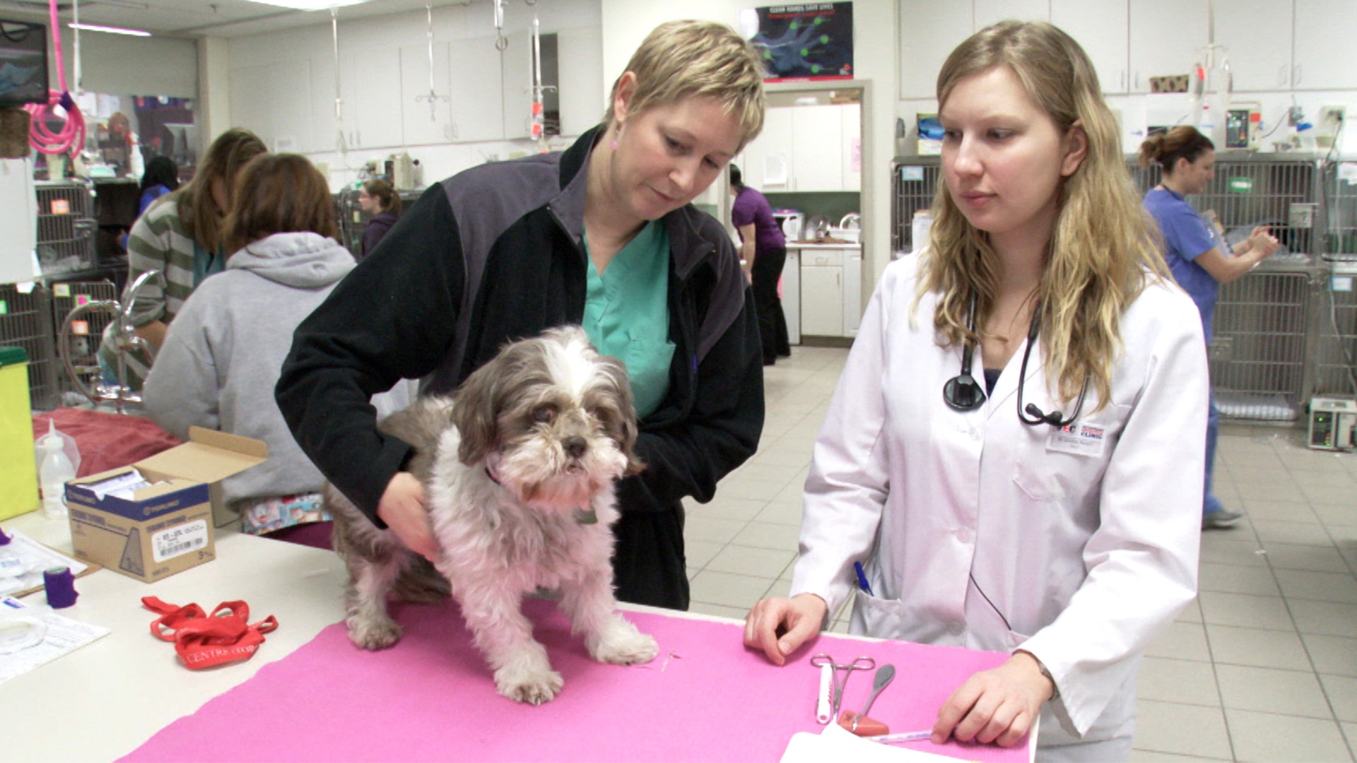 Watch Vets Saving Pets Episode: A Spotty Situation - NBC.com