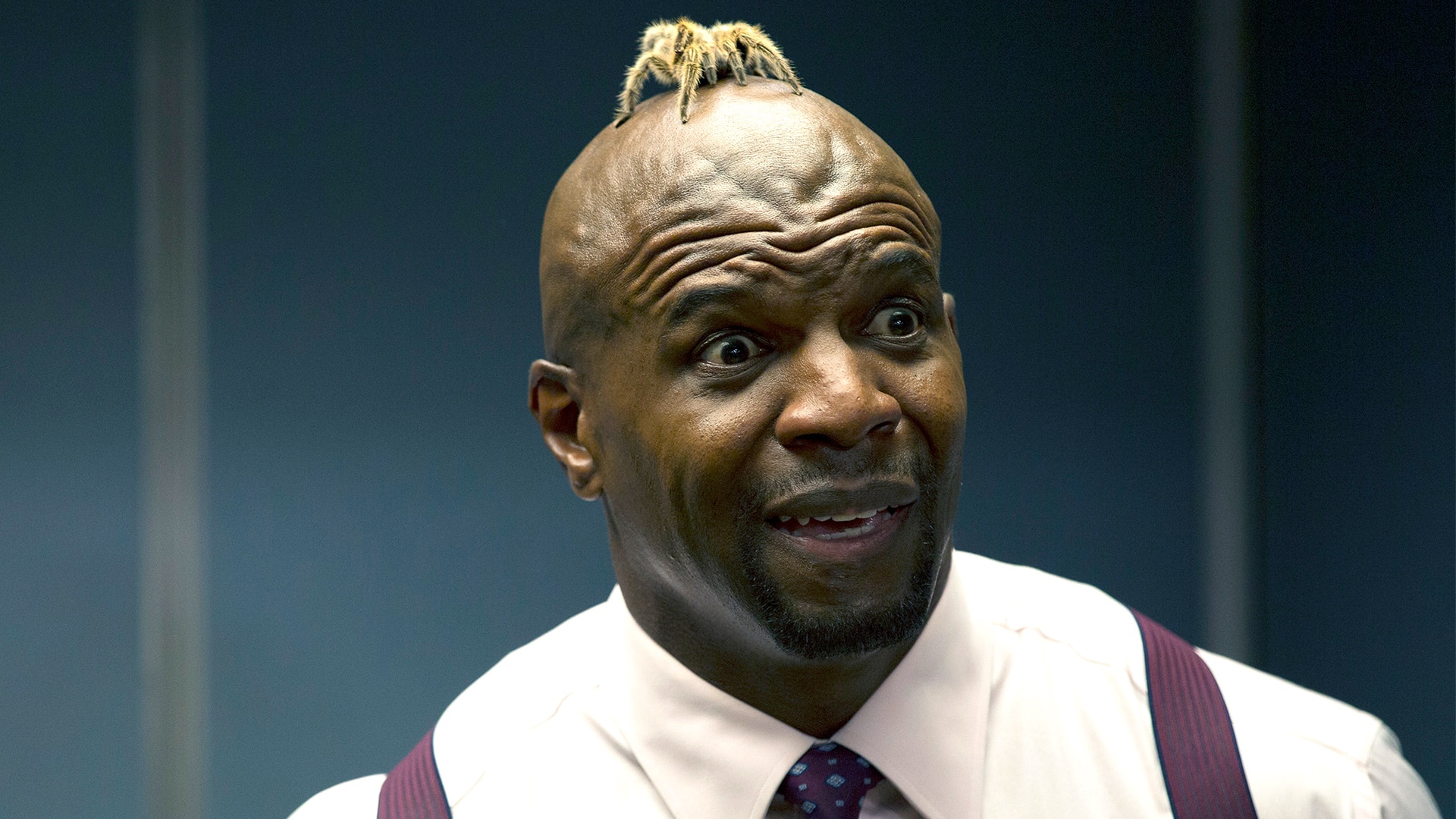 Watch Brooklyn Nine-Nine Web Exclusive: The Best 99 Seconds from 99 ...