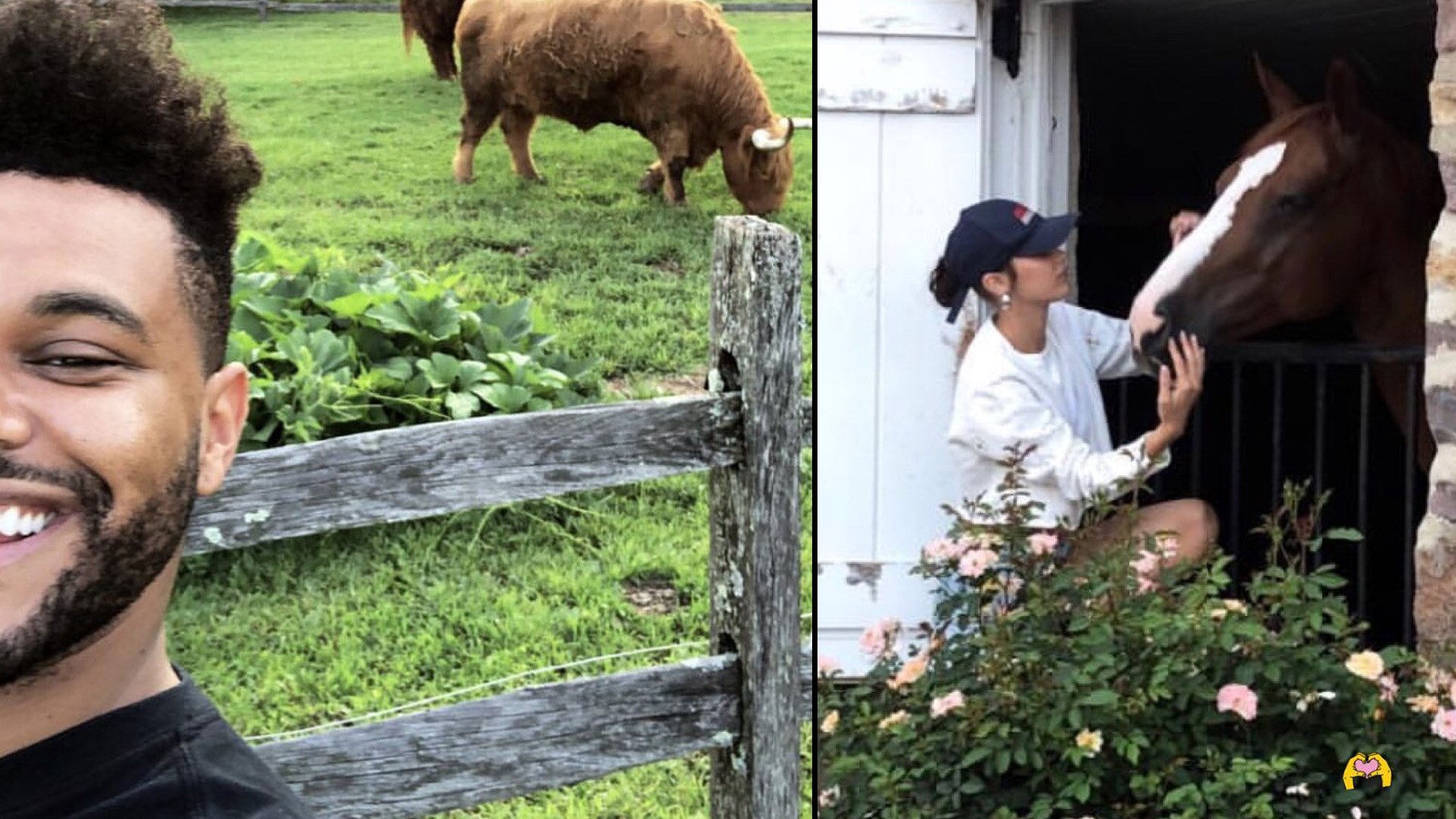 Watch Access Hollywood Interview: Bella Hadid & The Weeknd Vacation On ...