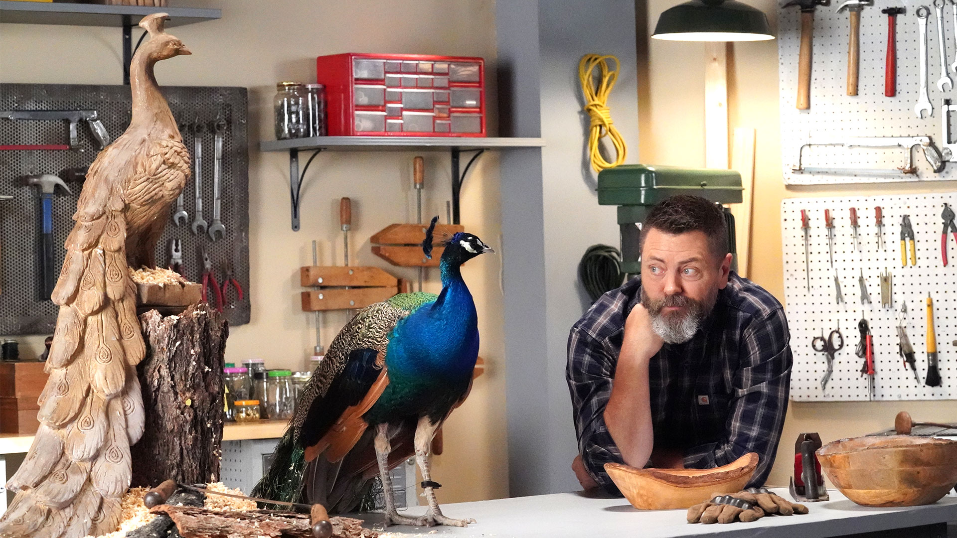 Watch Making It Web Exclusive: Nick Offerman and the Peacock Have a ...