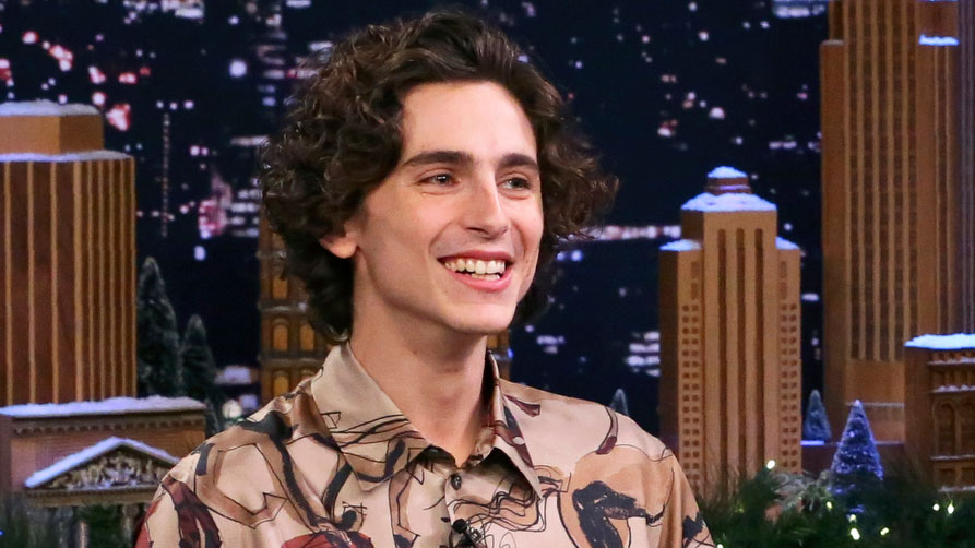 Watch The Tonight Show Starring Jimmy Fallon Interview: Timothée ...