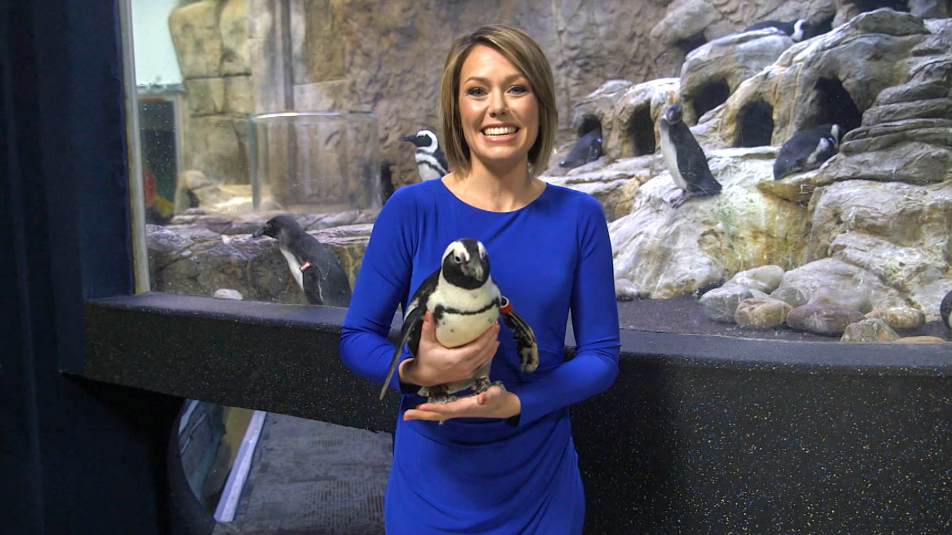 Watch Earth Odyssey with Dylan Dreyer Episode: Genus Genius - NBC.com