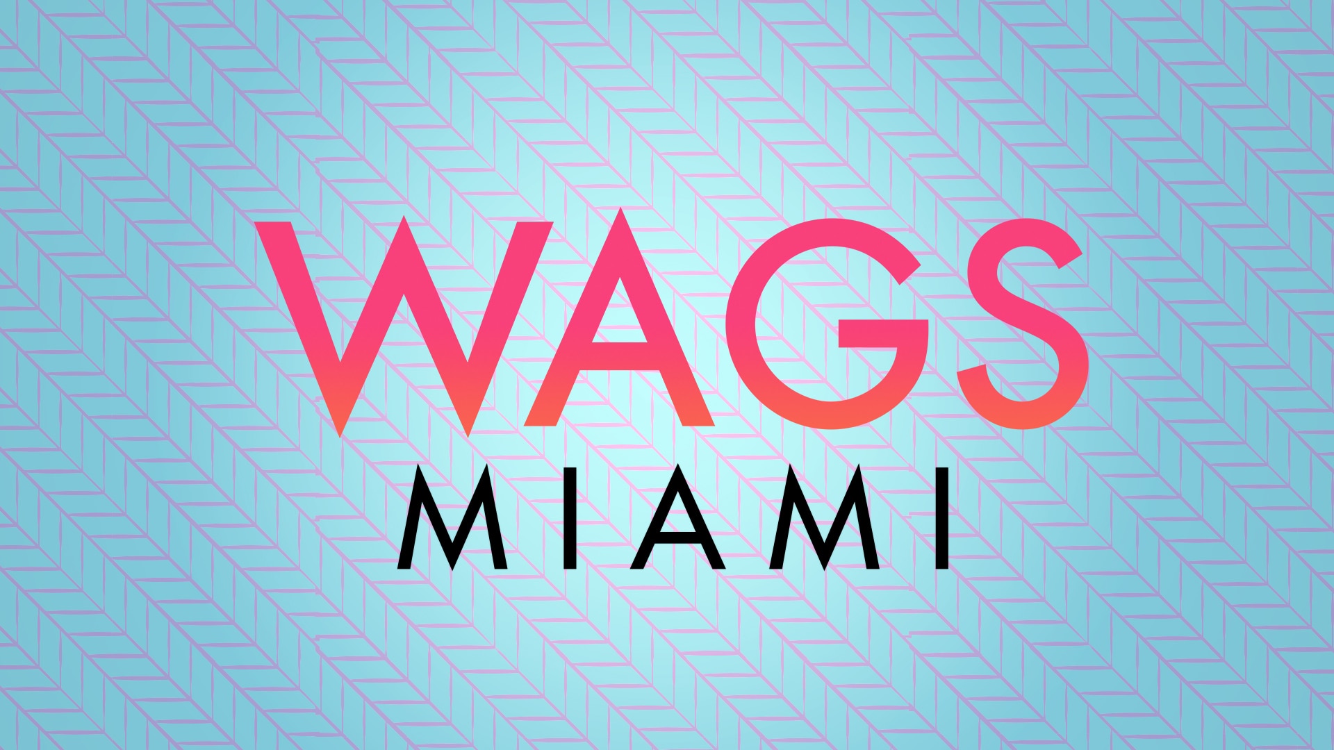 WAGS Miami - NBC.com