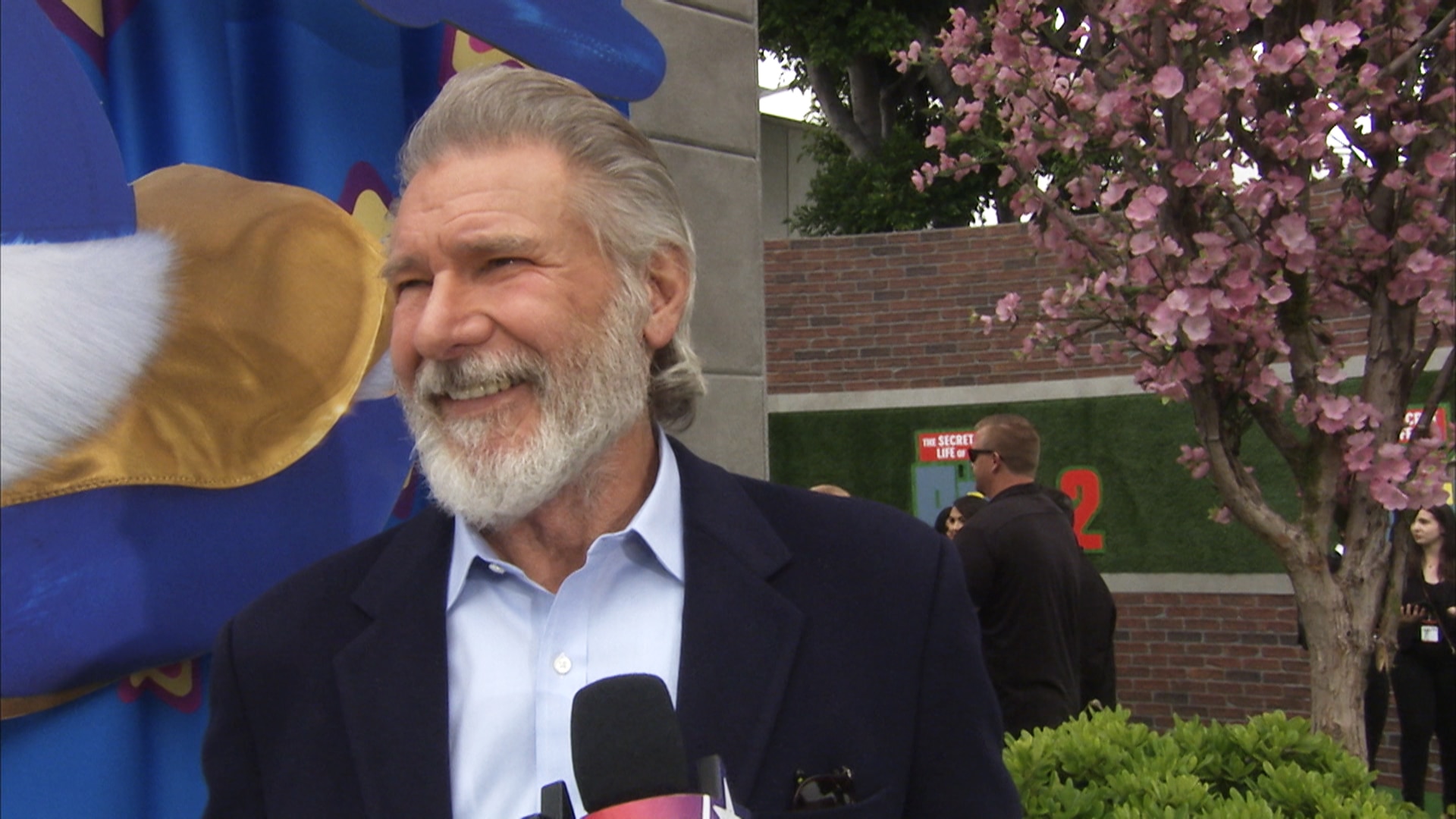 Watch Access Hollywood Interview: Harrison Ford Clarifies His Comment ...